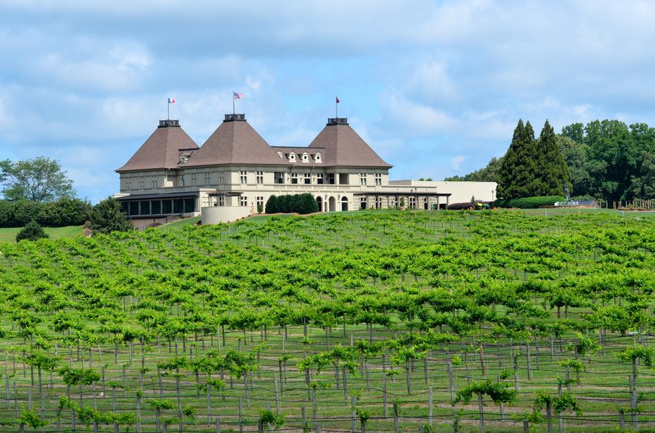 Vine Yard Winery Georgia free image download