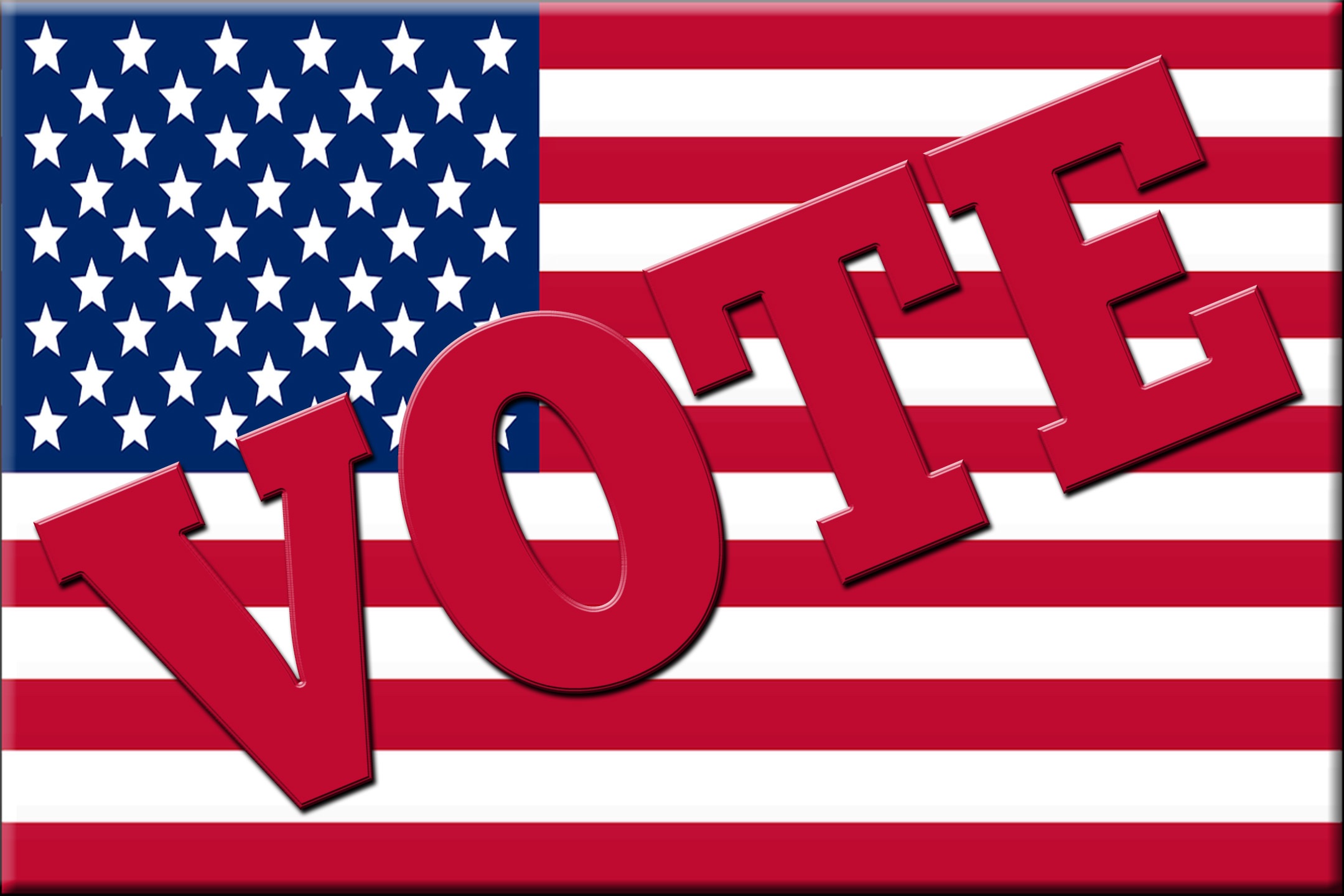 Flag vote voting political free image download