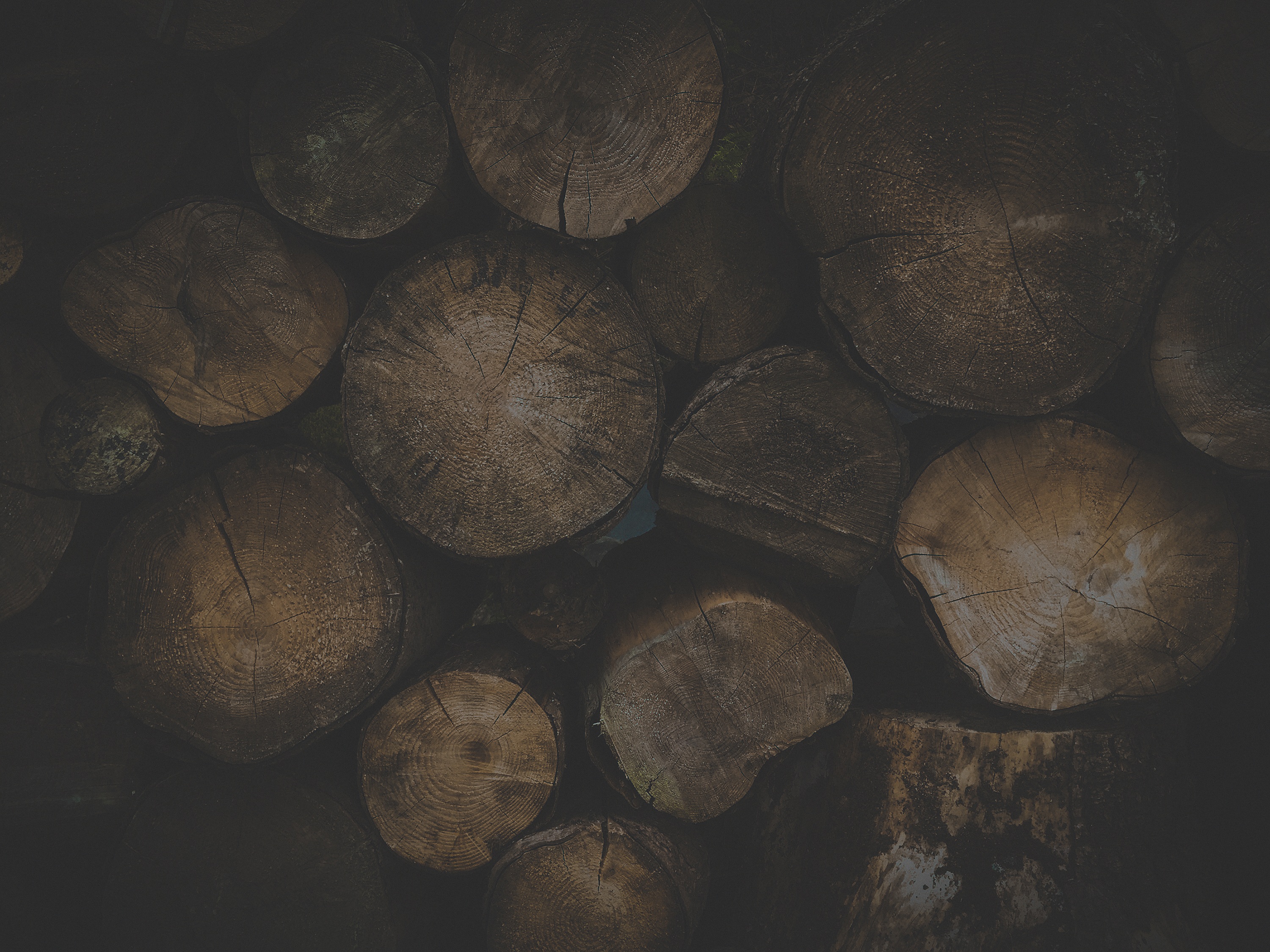 Timber billets free image download
