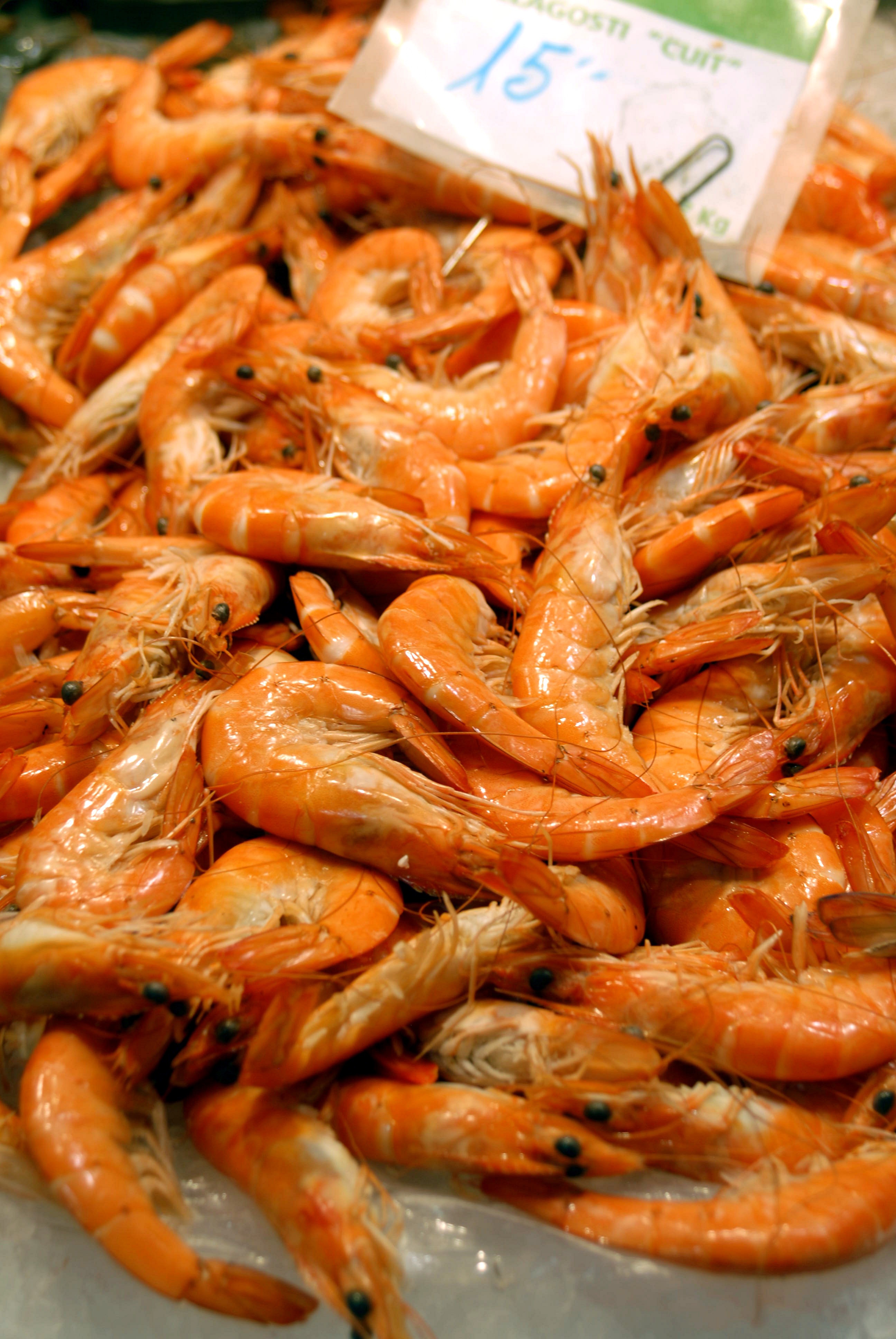 Prawns Seafood Gourmet free image download