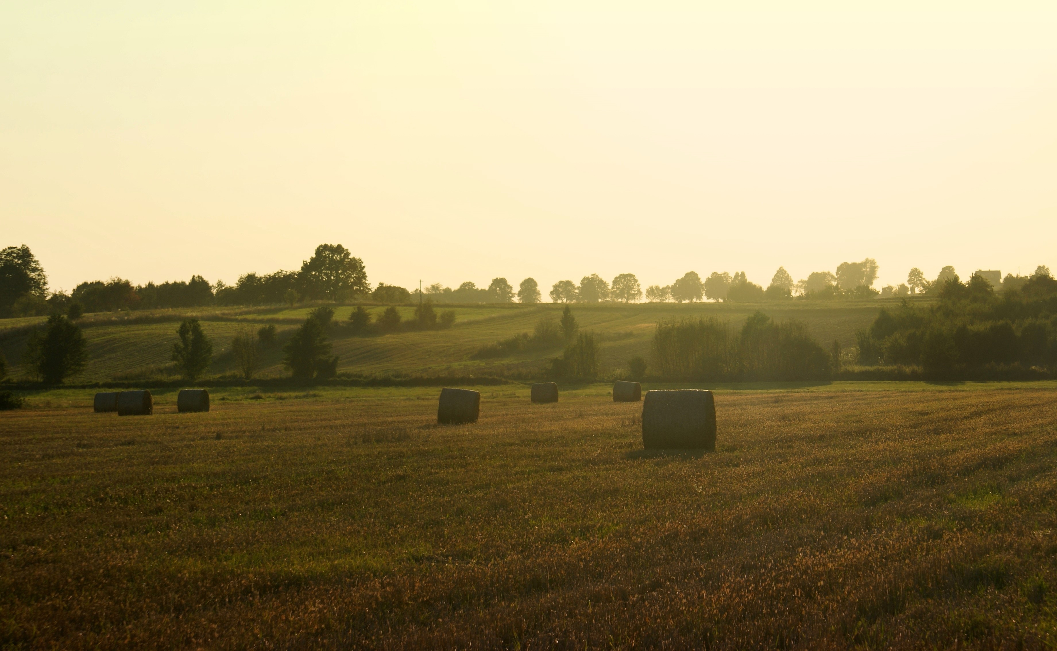 Field Bales Landscape free image download