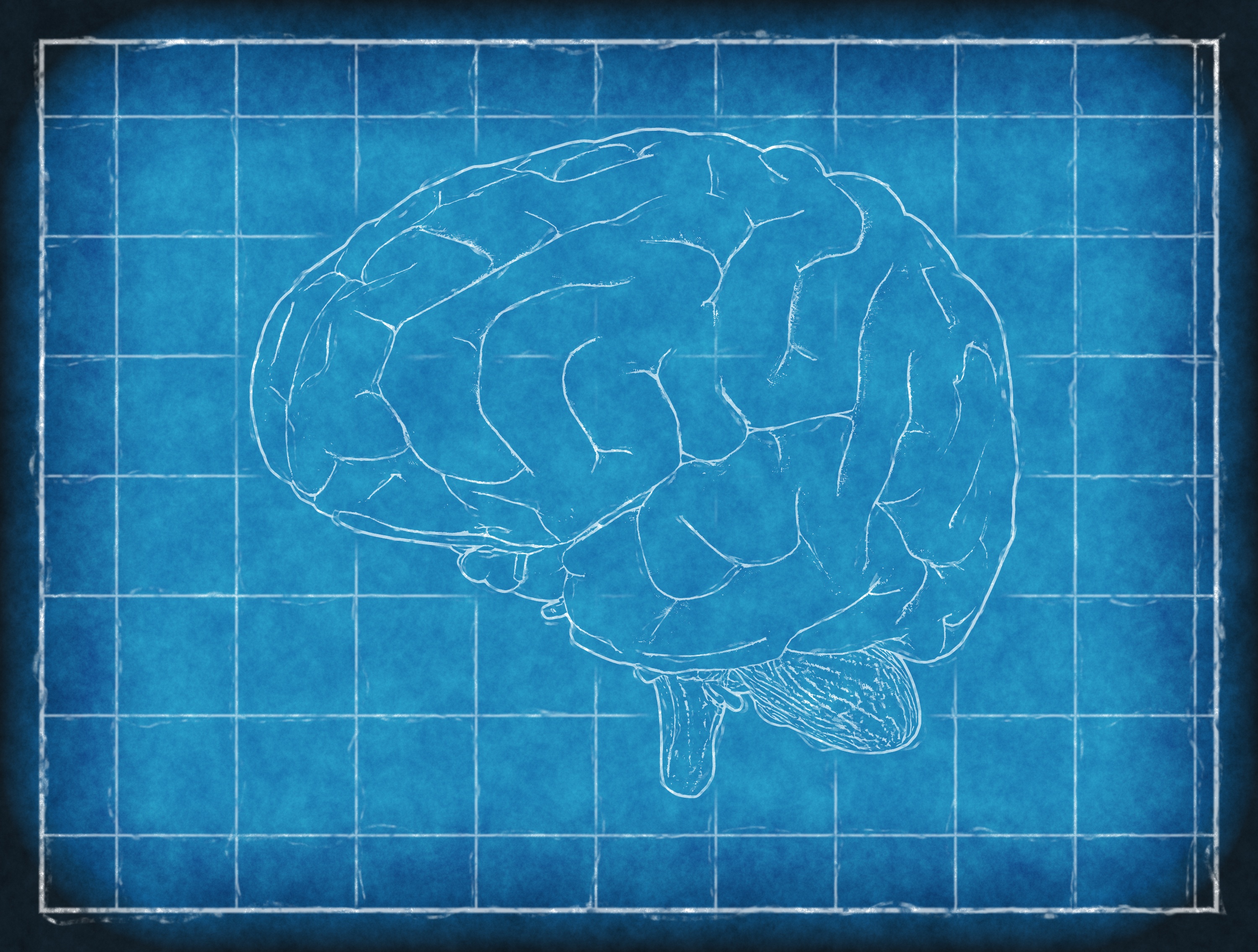 Brain blueprint thinking analysis free image download