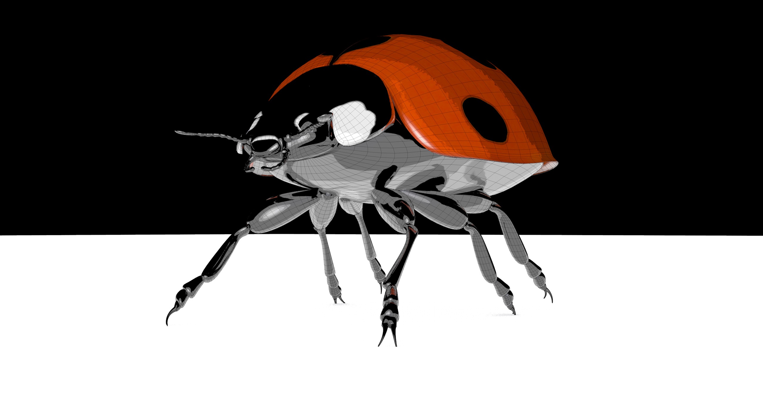 Ladybug contour lines drawing// free image download