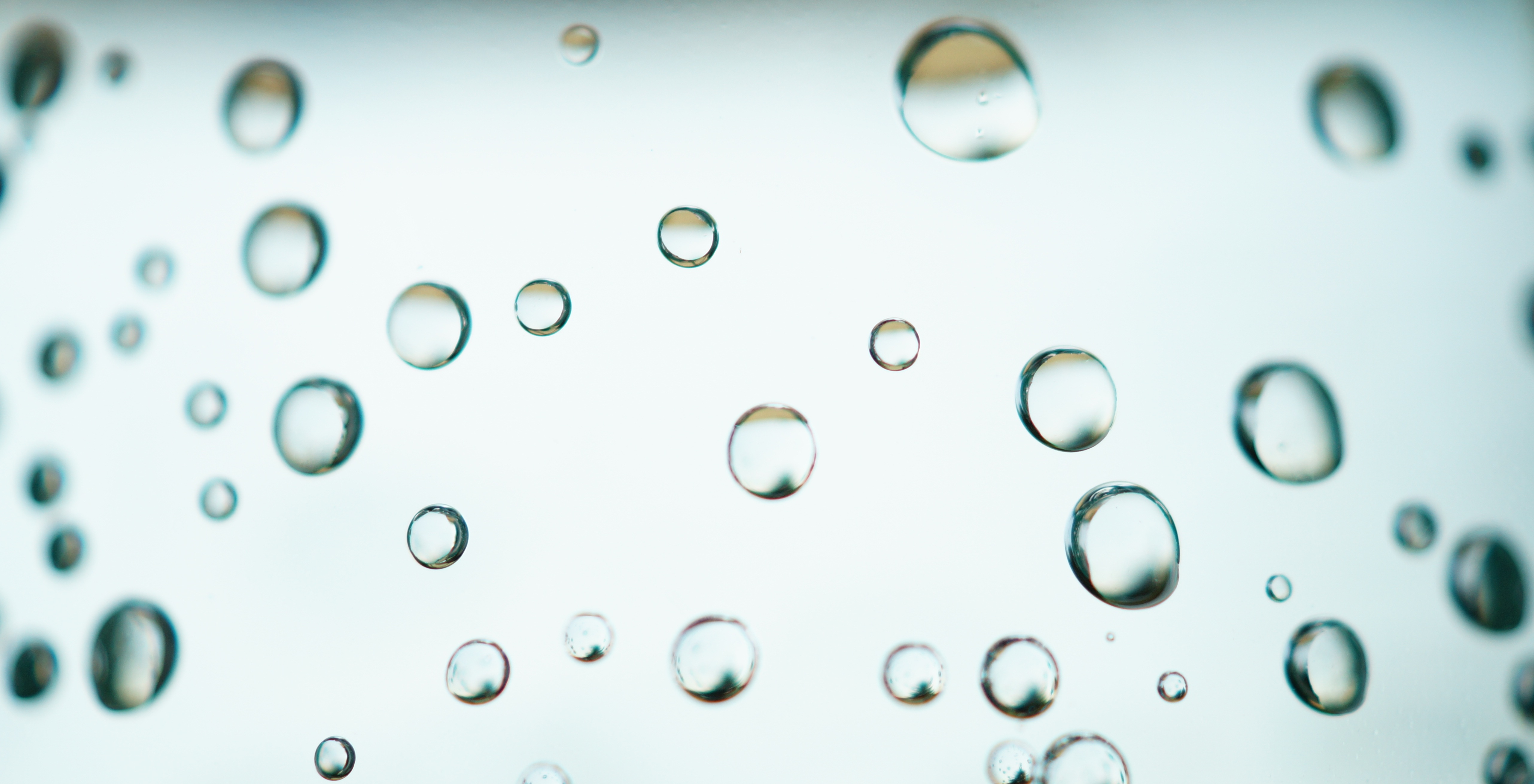 Bubbles Clear Dew free image download