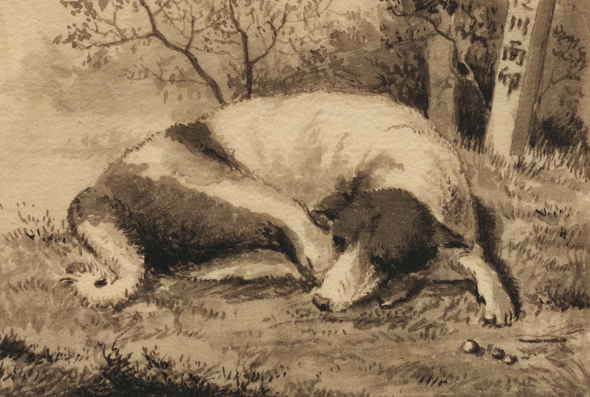 Watercolour sleep dog drawing free image download