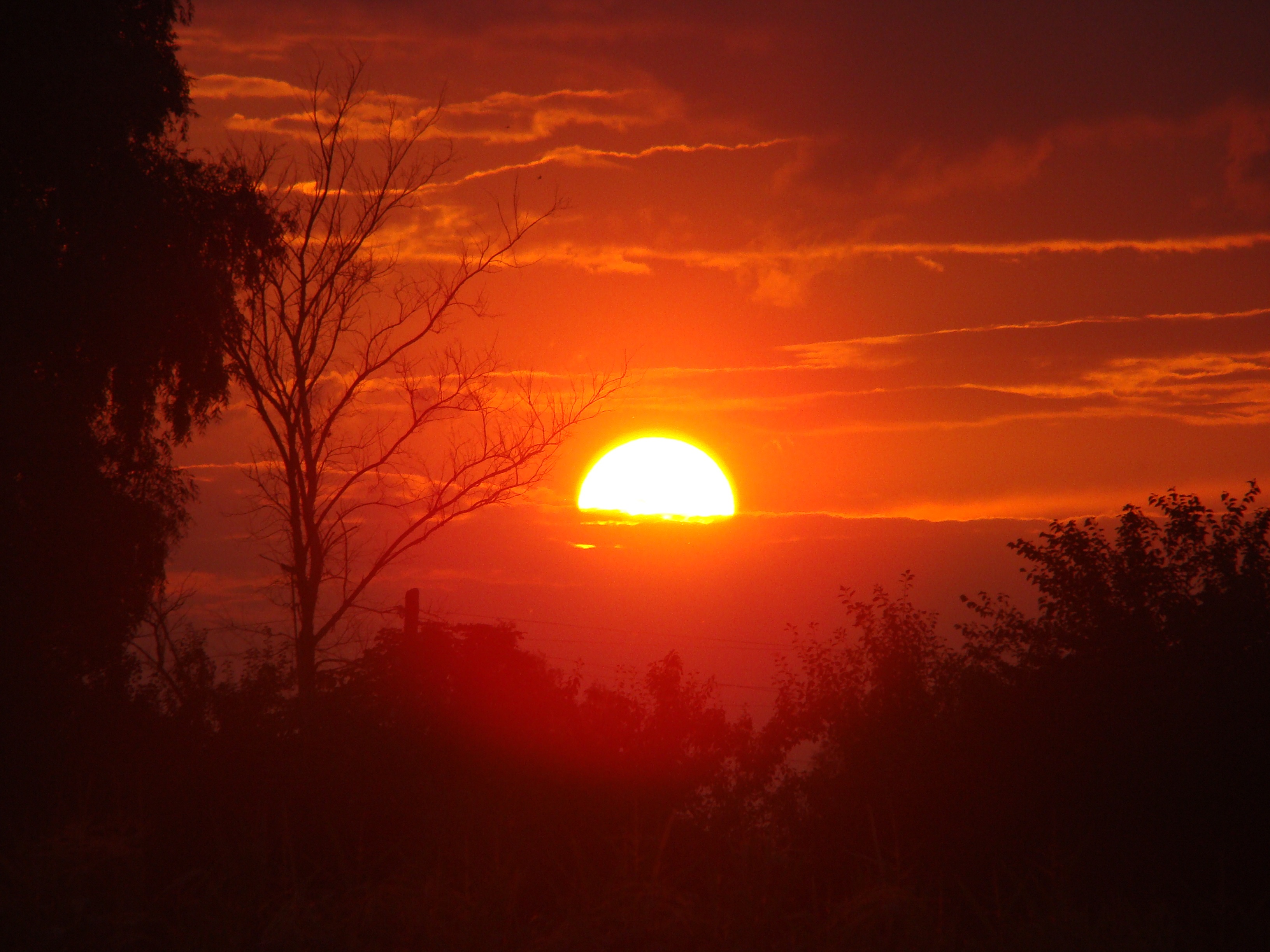 Red Dark Sunset free image download