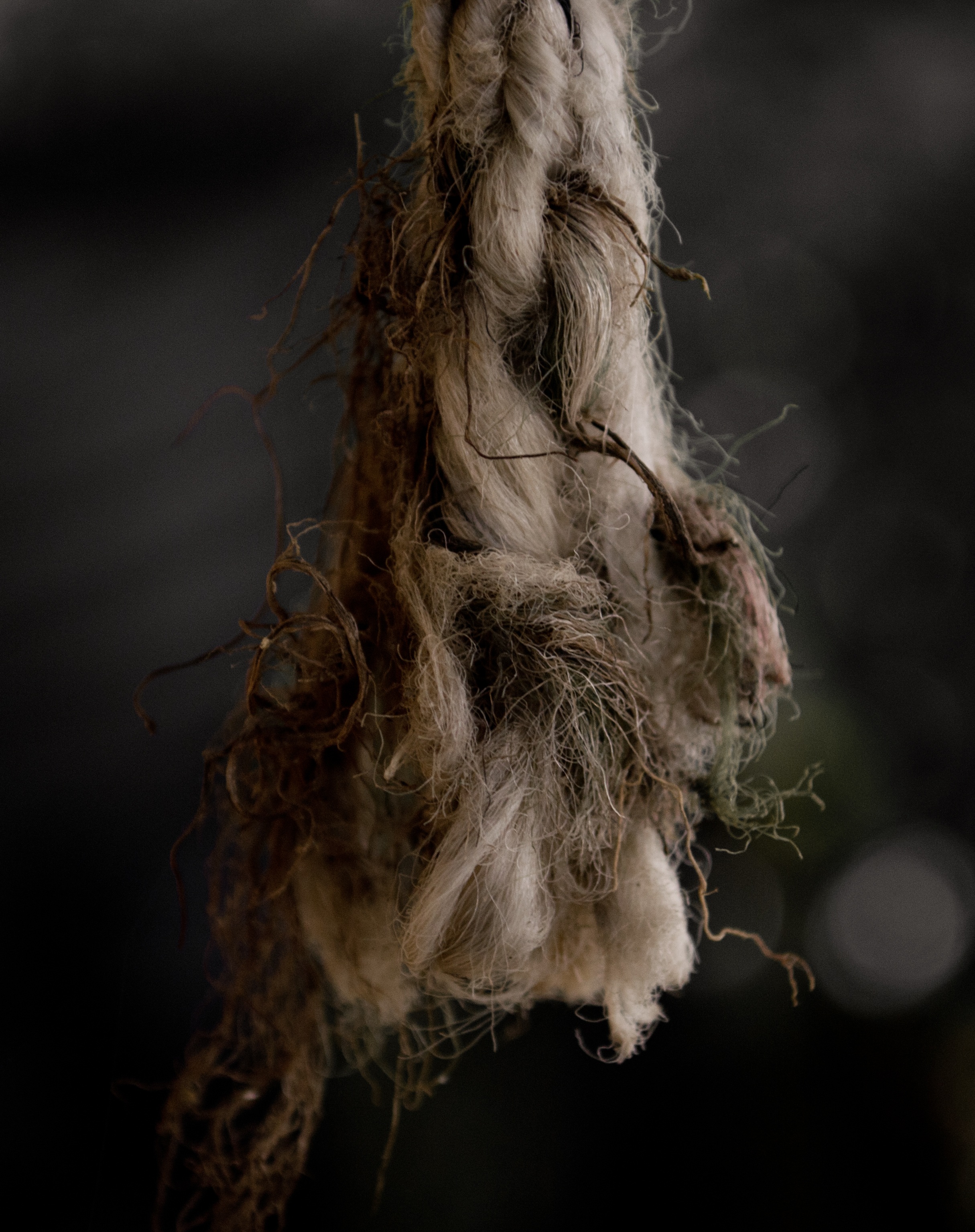Rope Cabulla Pita free image download