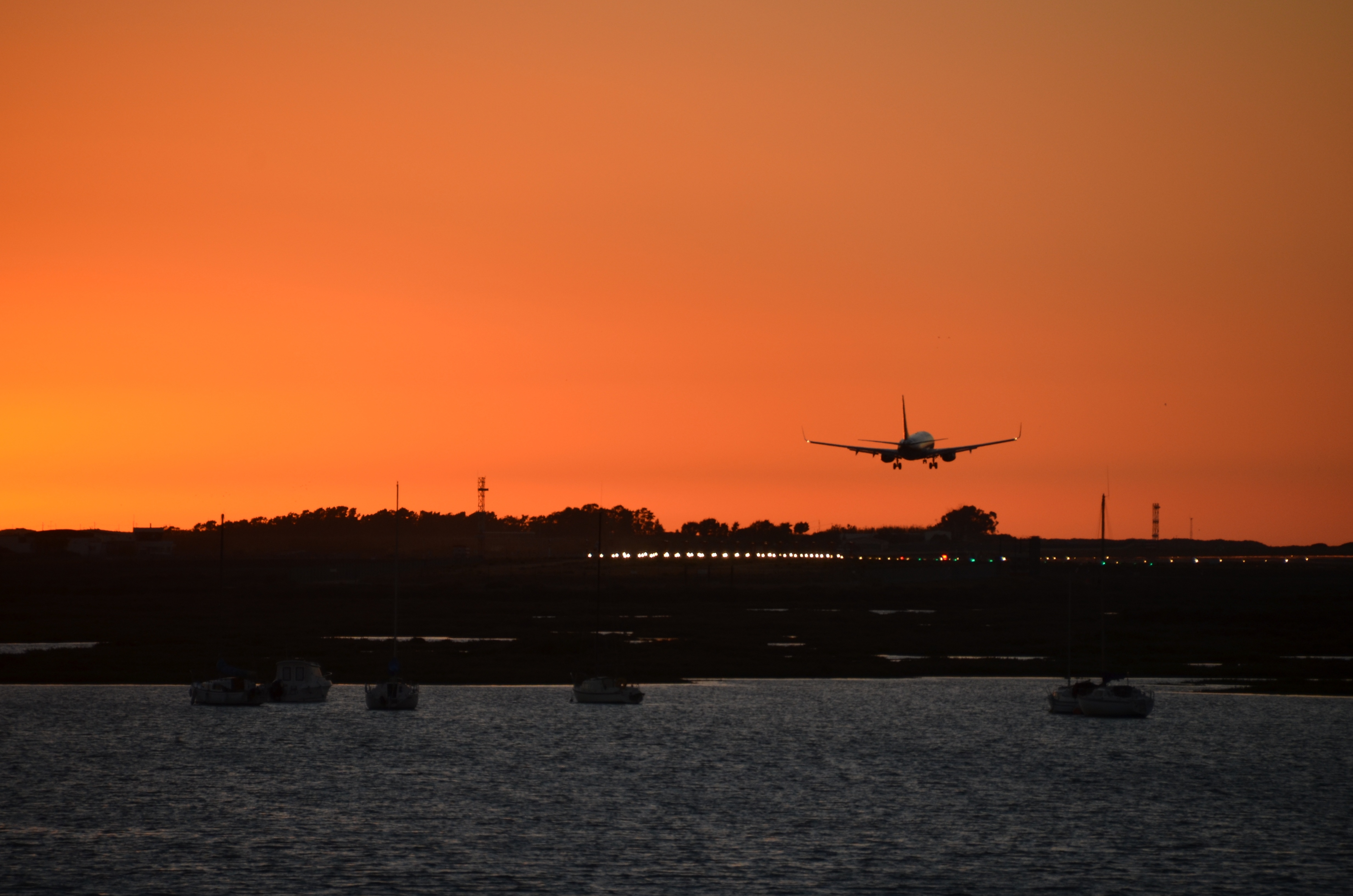 Landing Evening Flying free image download