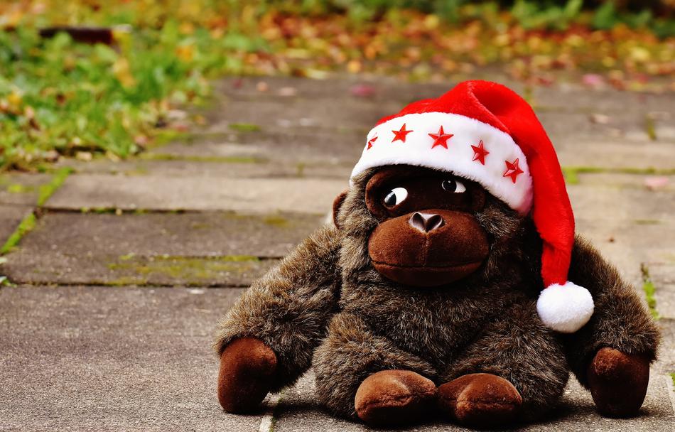 Christmas Santa Hat Stuffed Animal free image download