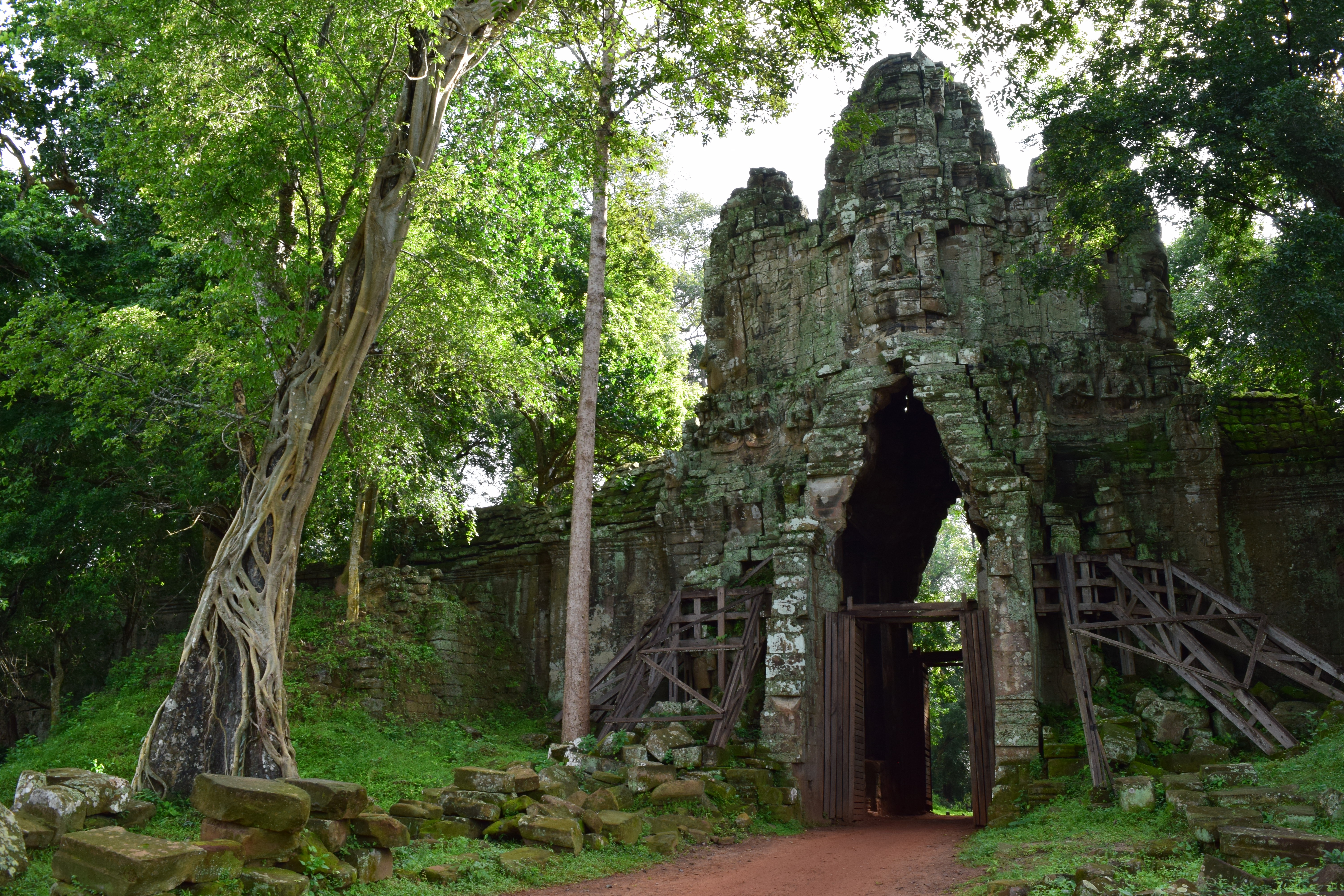 Cambodia Jungle Goal free image download
