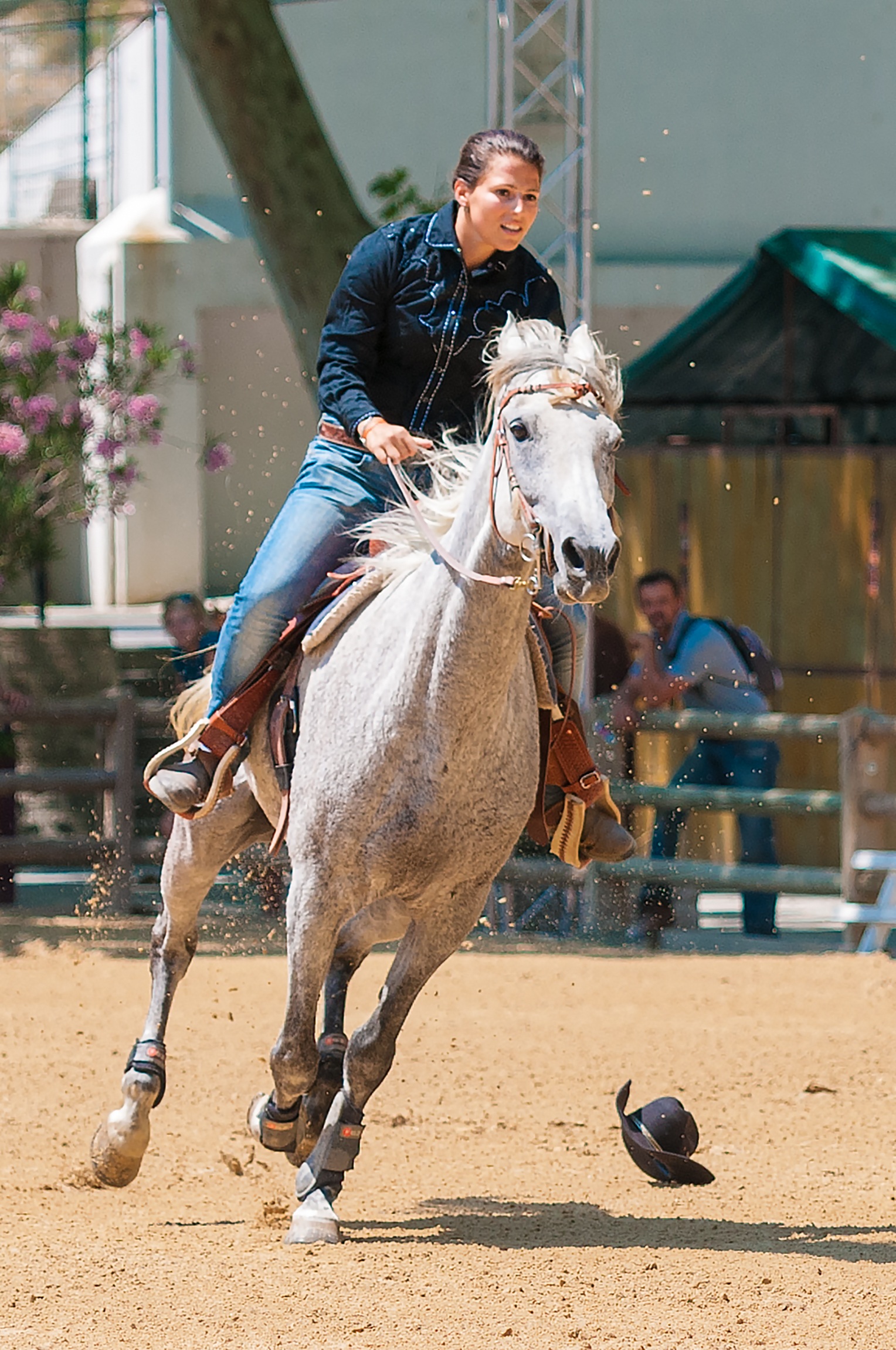 Racing Contest Equestrian free image download