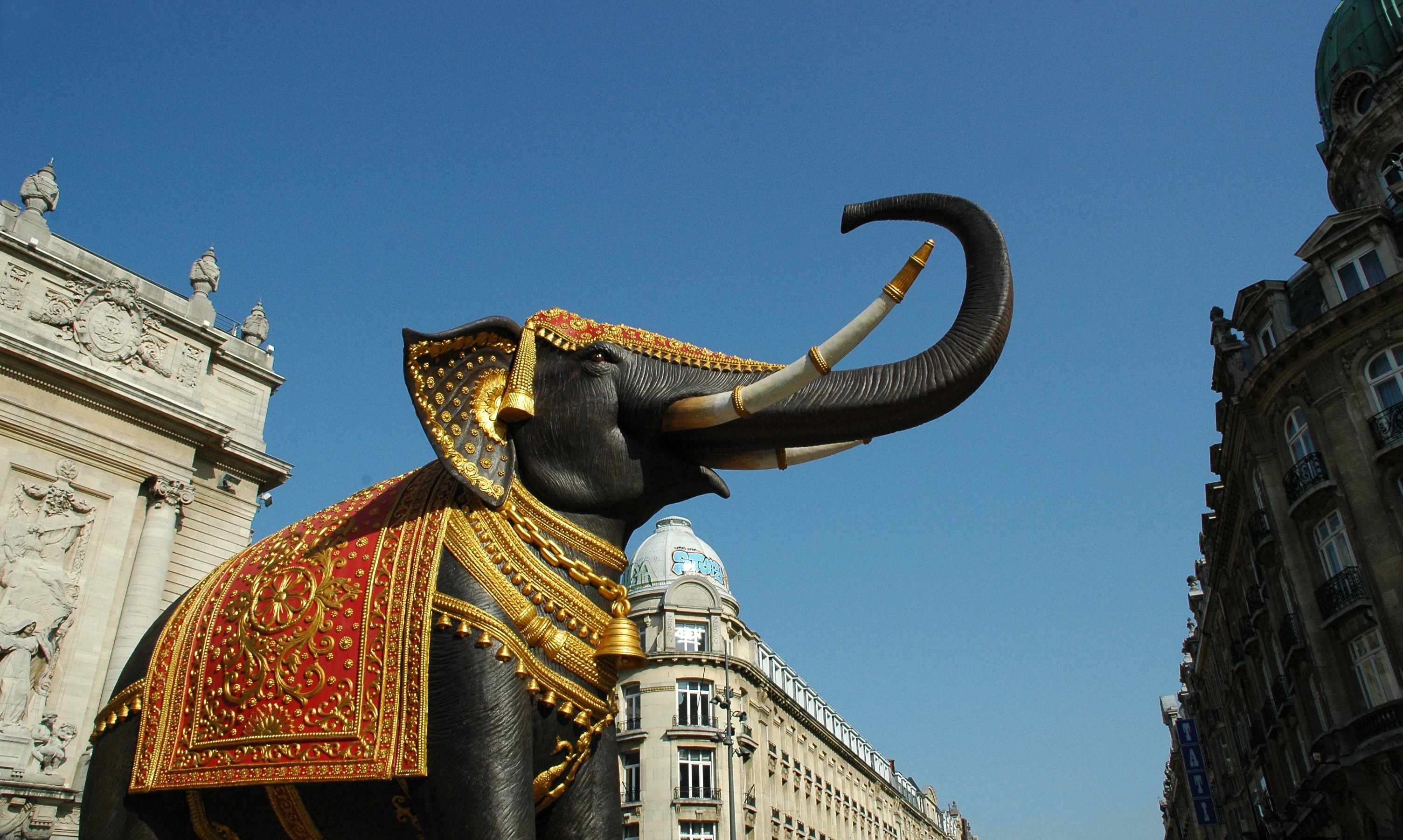 Statue of indian elephant free image download
