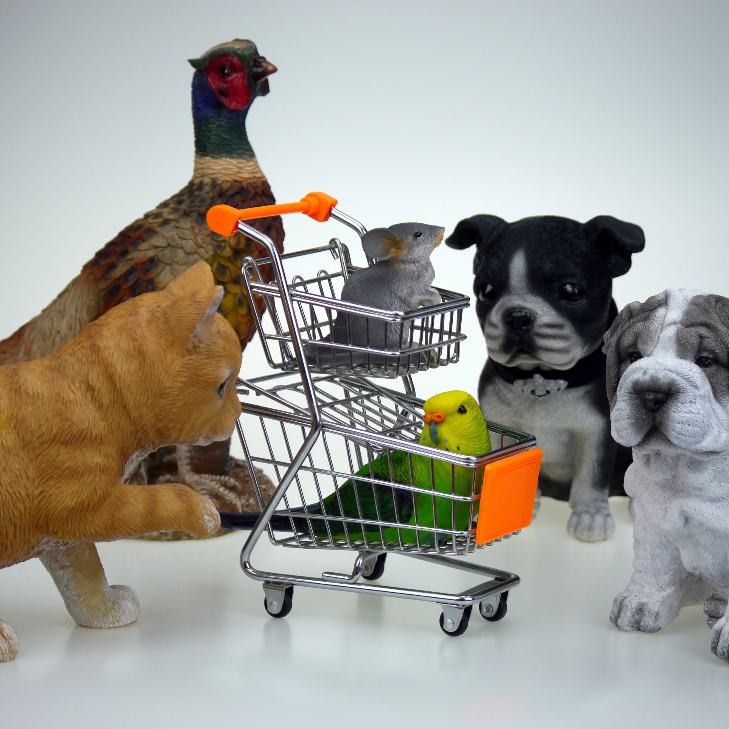 Animals with Shopping baskets free image download