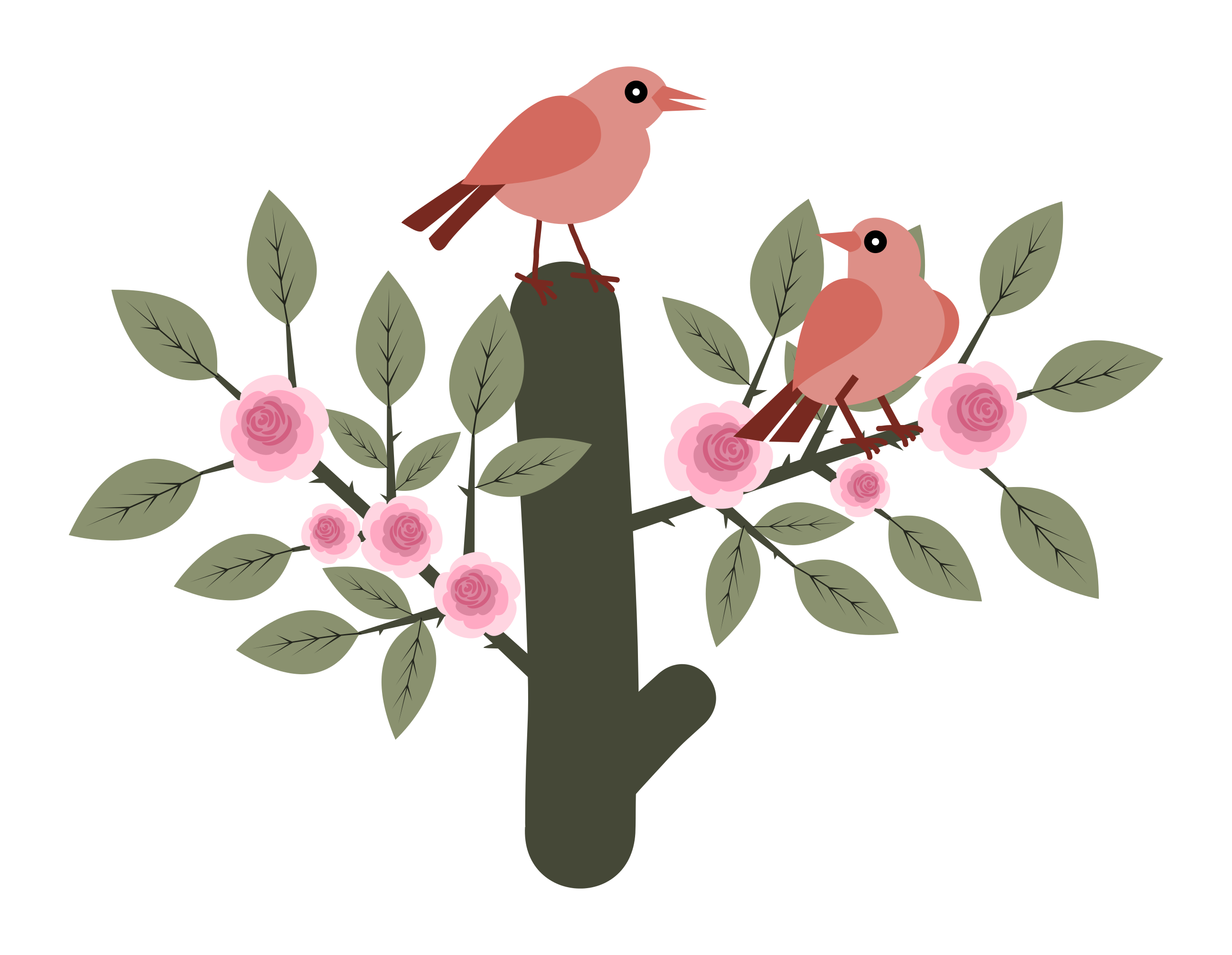 Birds animals roses flowers floral free image download