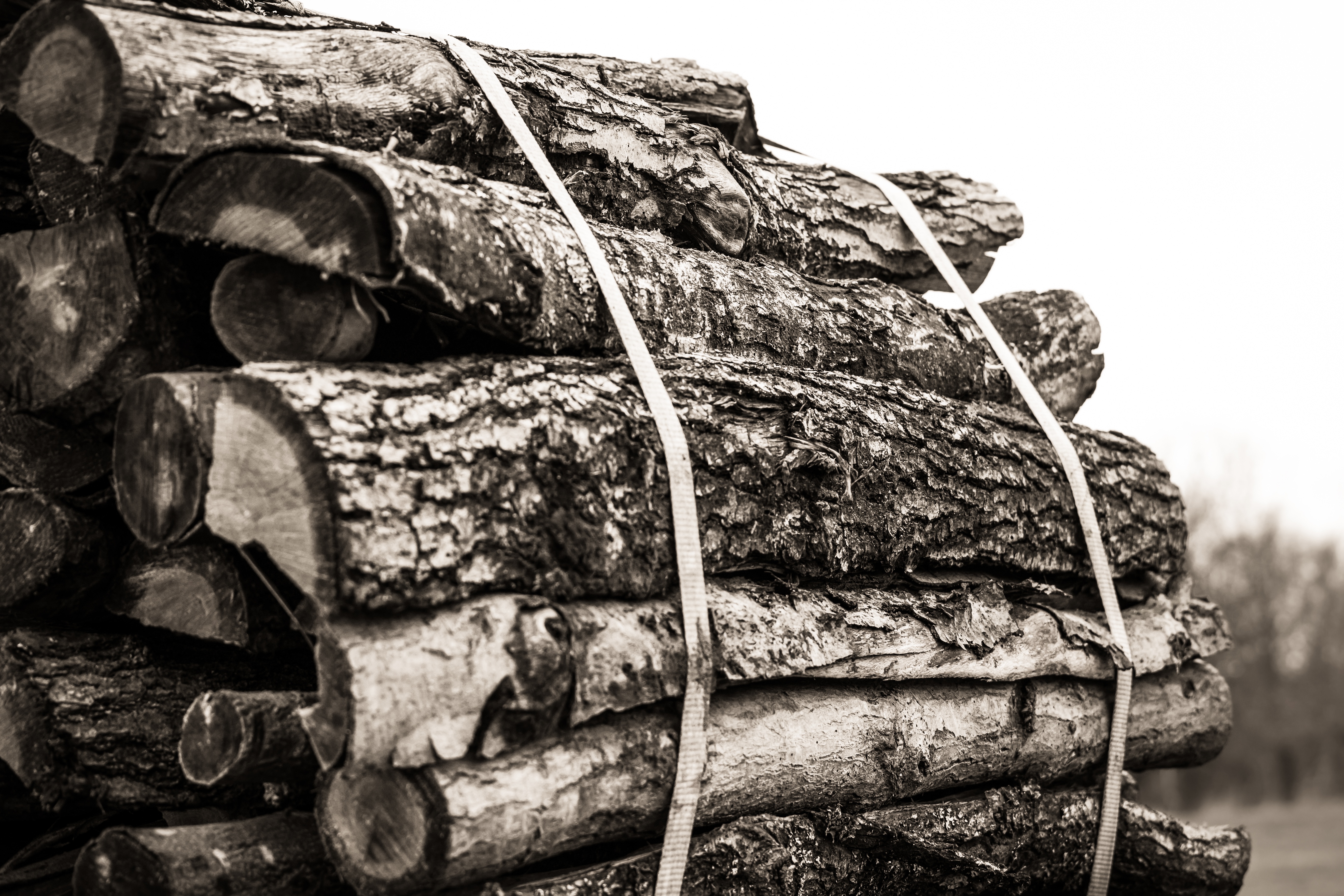 Wood Firewood Holzstapel macro free image download