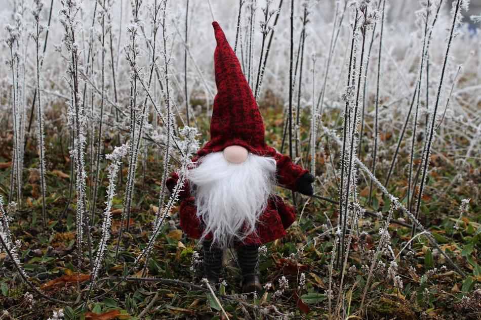 Imp Santa Claus Dwarf free image download