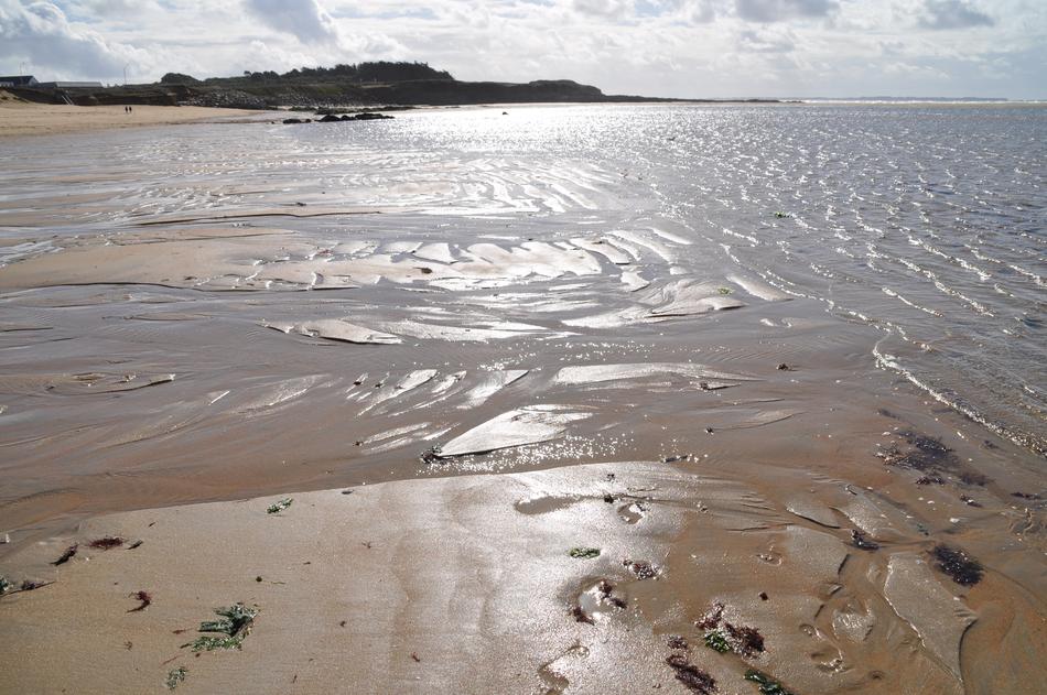 Ebb Beach Brittany free image download