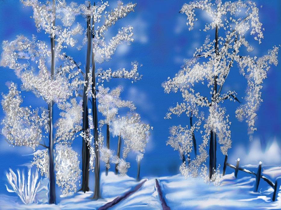 Frozen winter trees on a blue background free image download