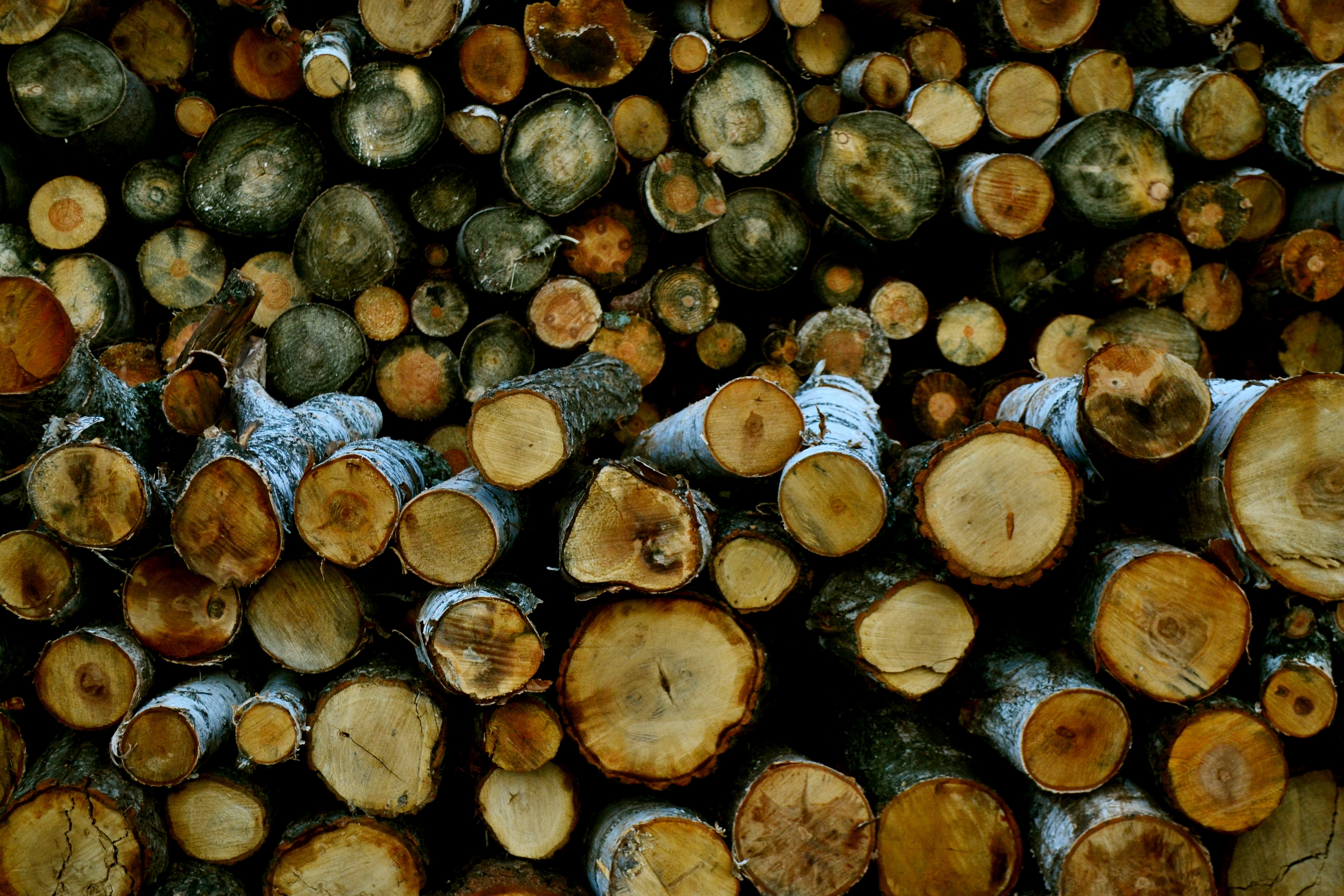 Wooden logs in the village free image download