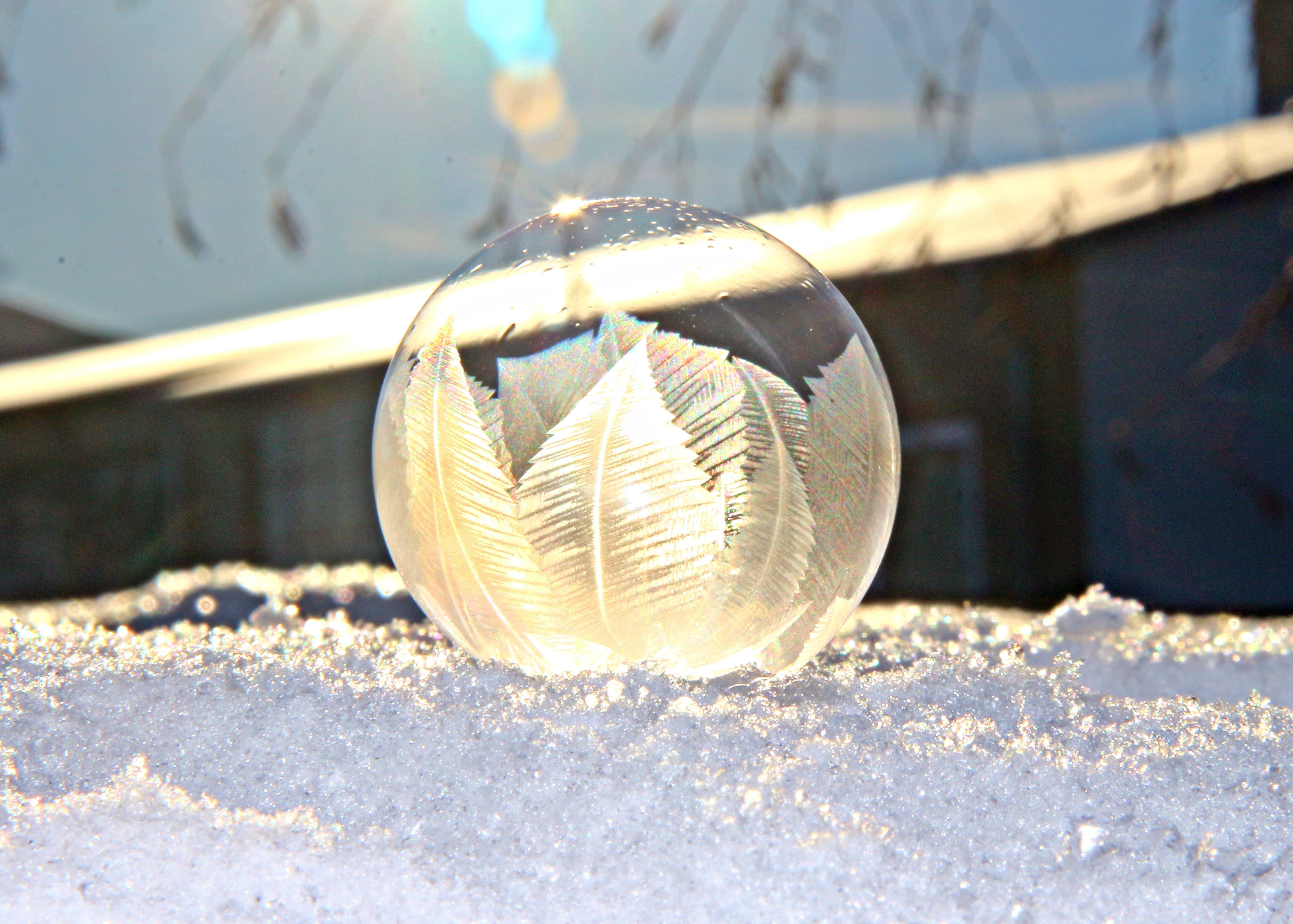 Snow Soap Bubble Frozen Ice free image download