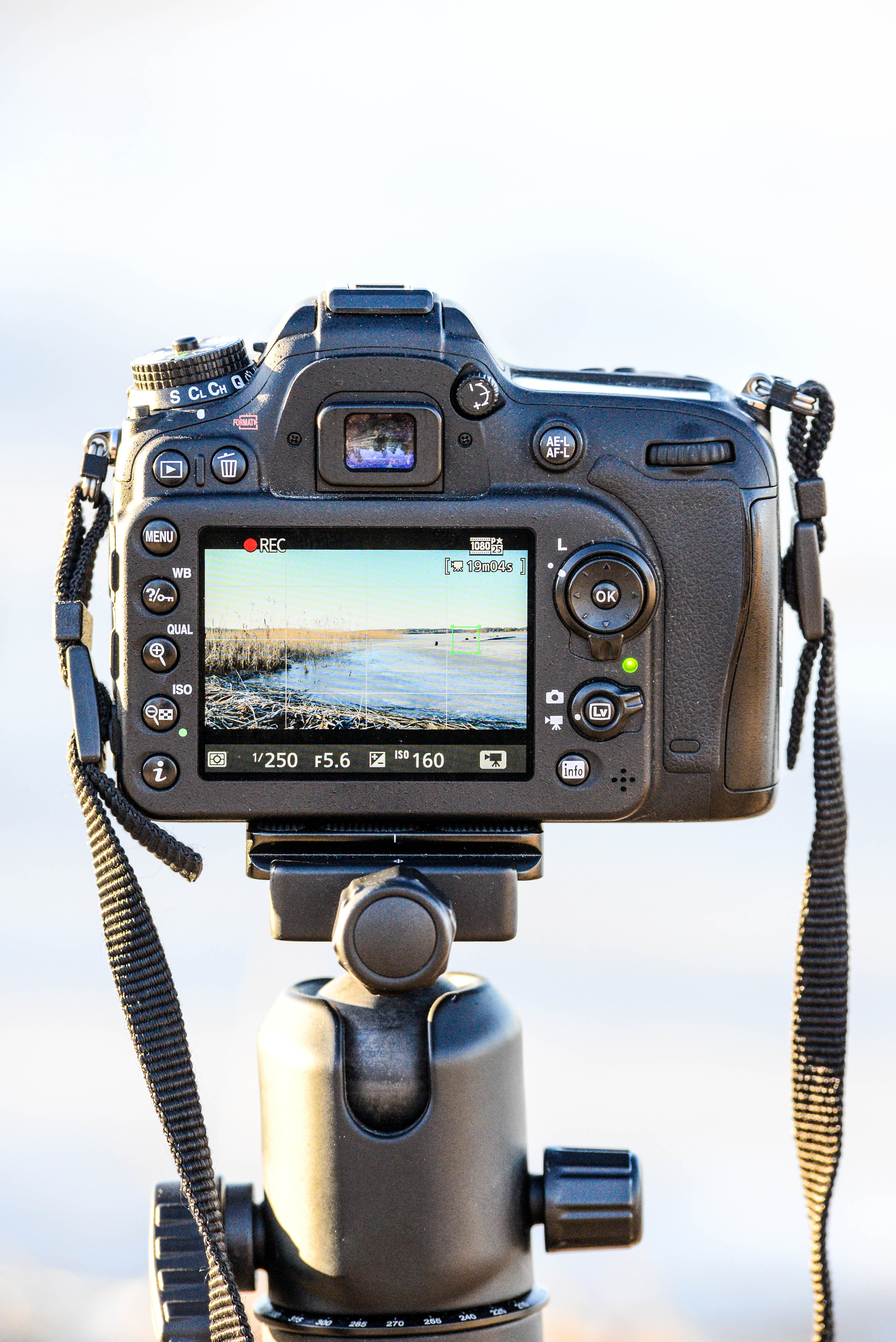 Camera Slr Dslr free image download