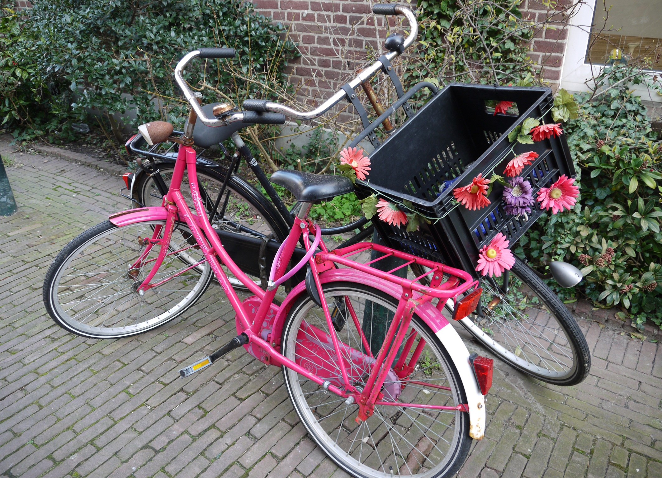 Bike Dutch Netherlands free image download