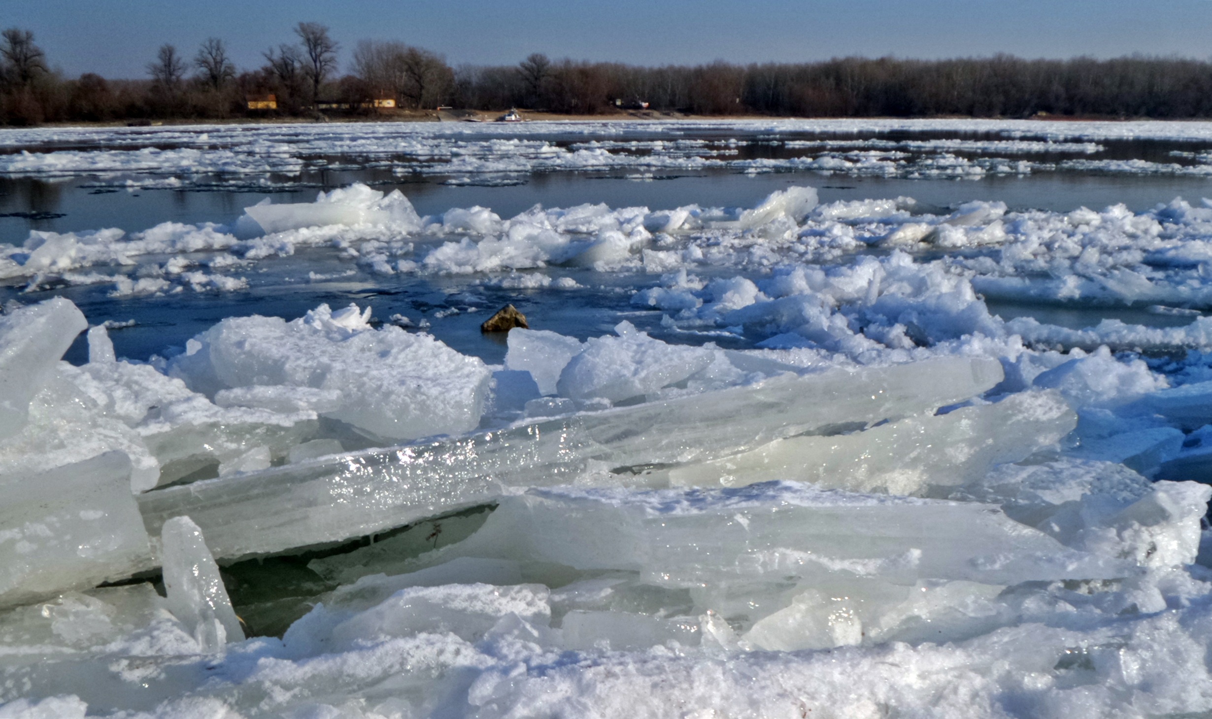 Ice Cold Winter Frost free image download