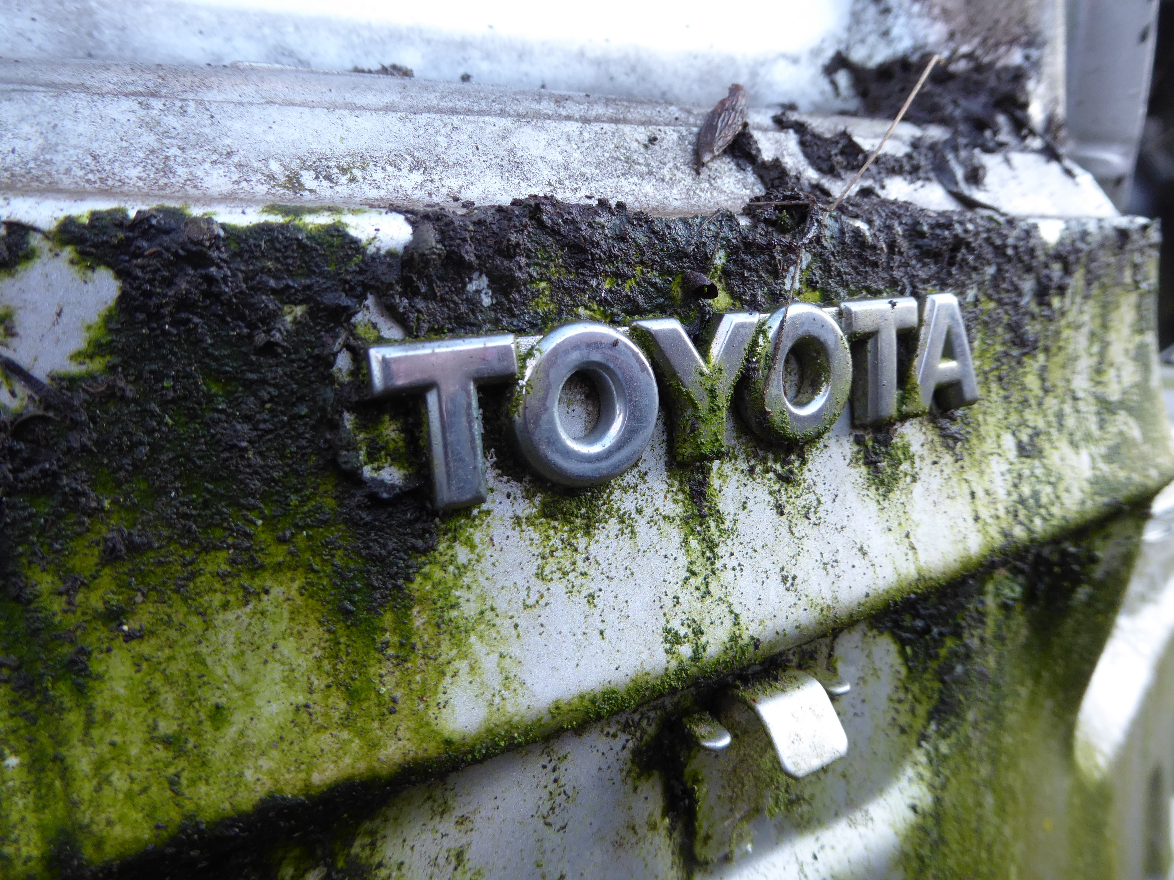 Old toyota with moss on it free image download