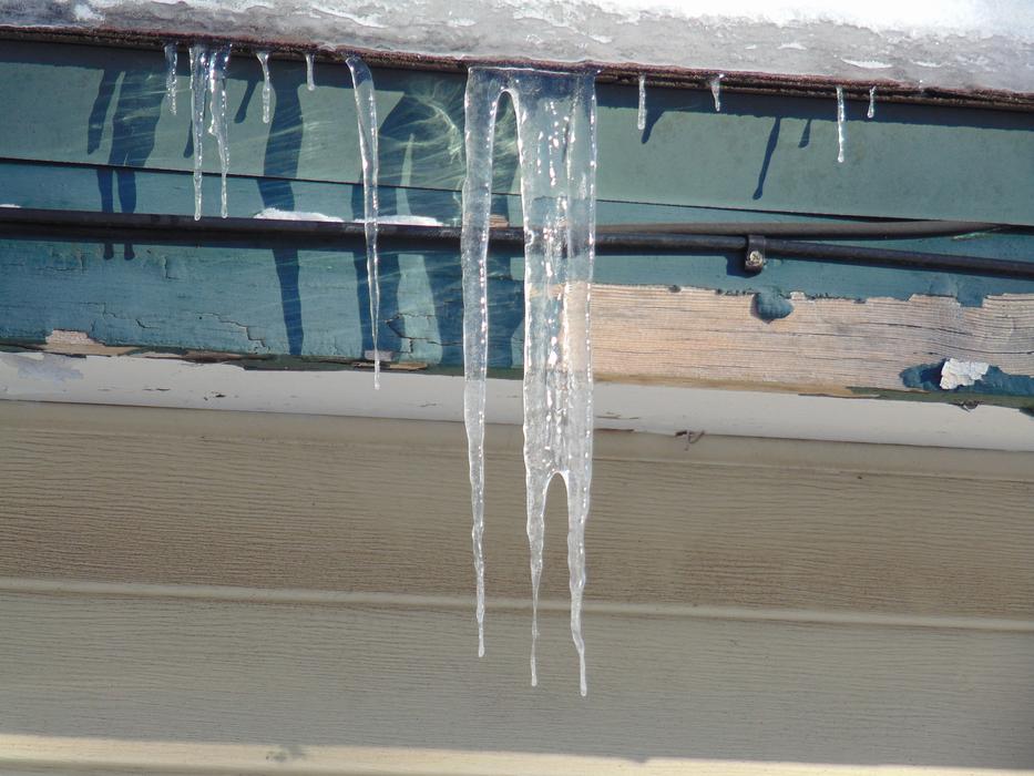 Winter Snow Icicle free image download