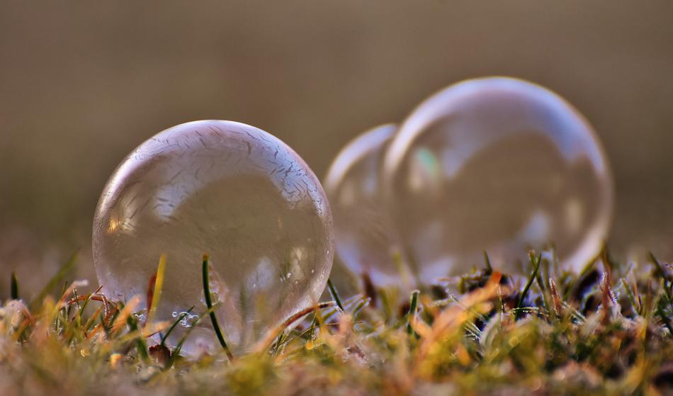 Soap Bubble Frozen Winter free image download