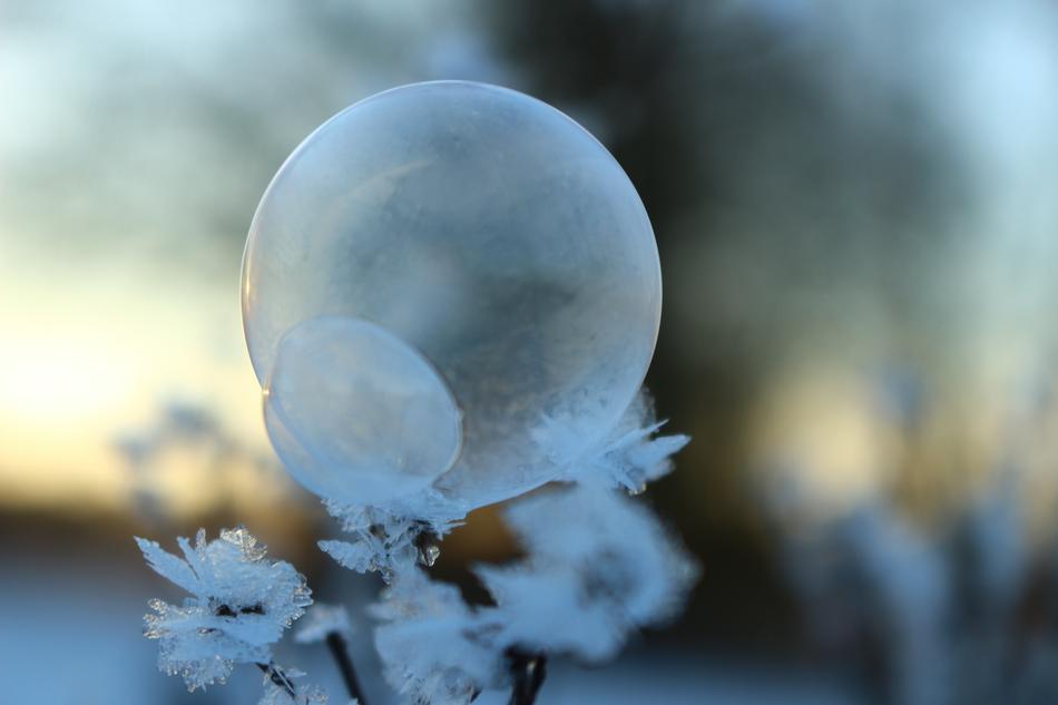 Soap Bubble Snow Frost free image download