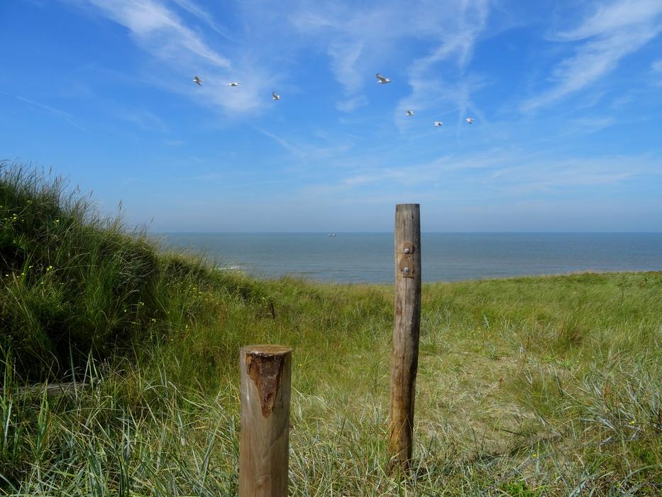 North Sea Beach Dune free image download