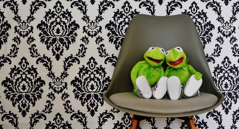 Kermit Funny frogs on chair free image download