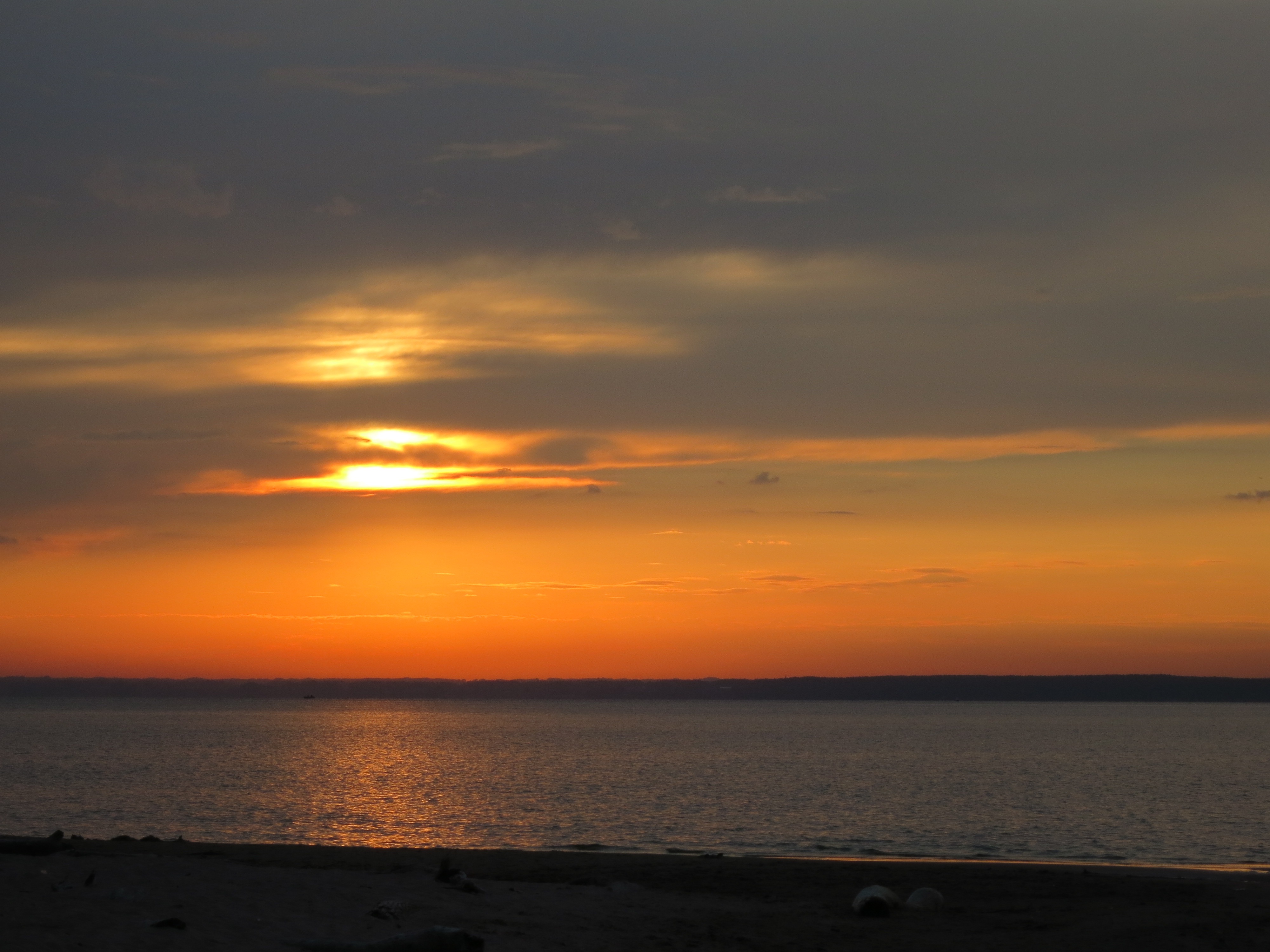 Sea Sunset Evening free image download