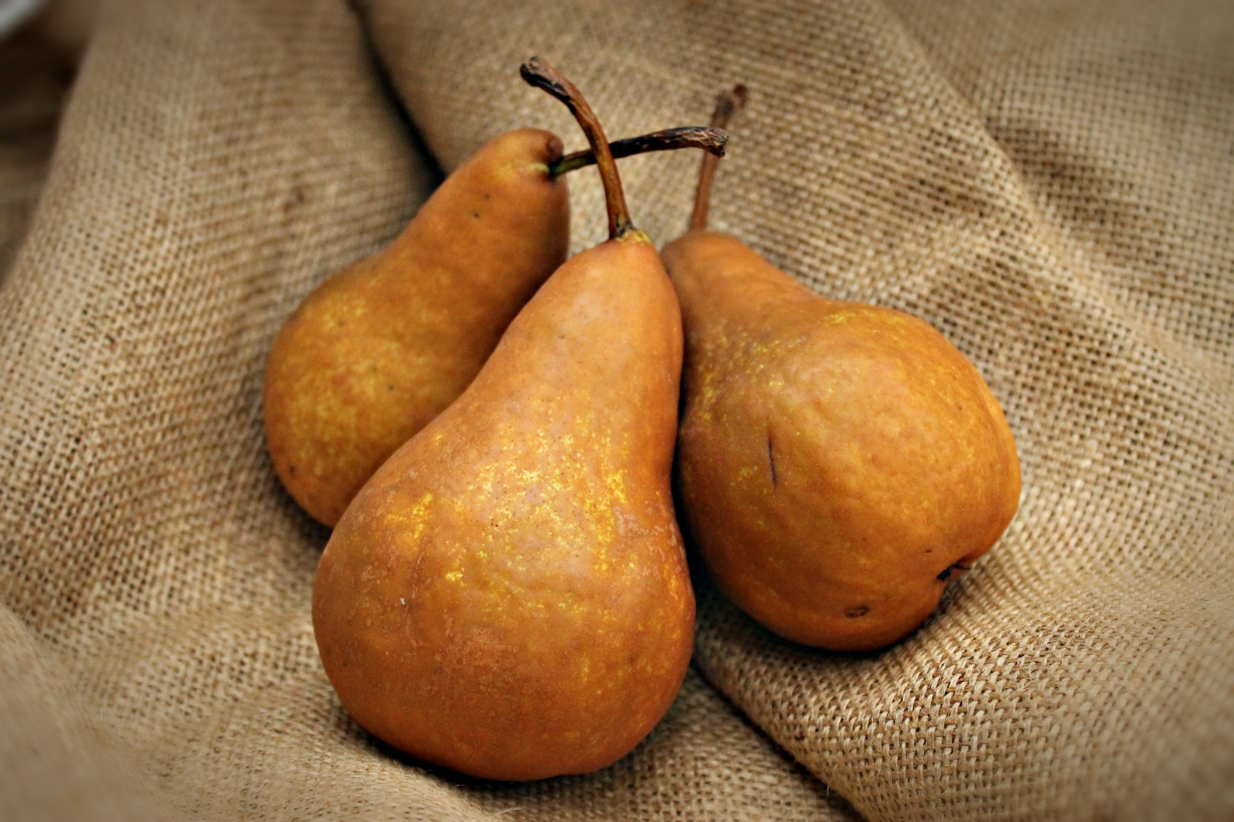 Delicious sweet pears free image download