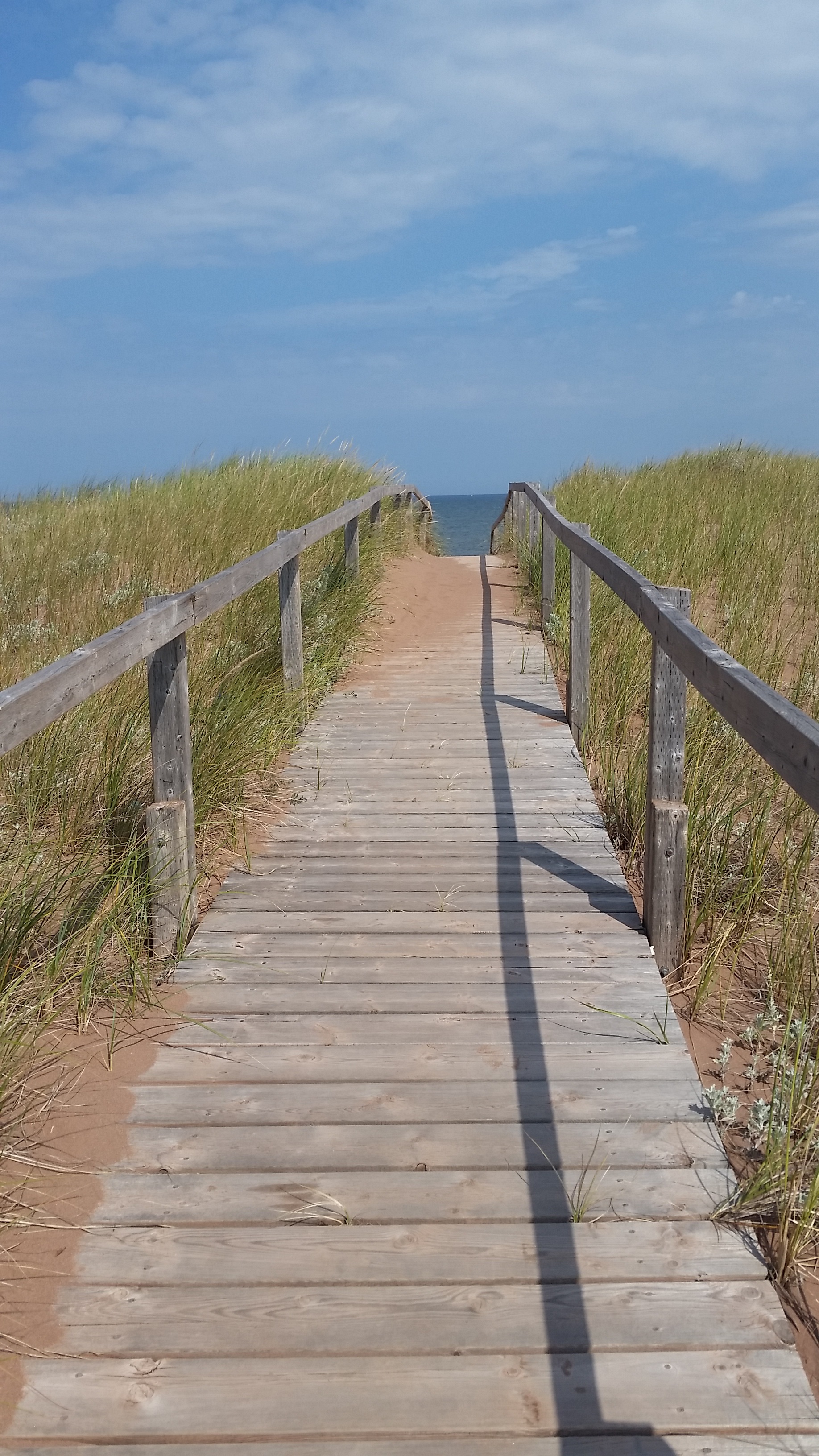 Walkway Bridge Coastal free image download