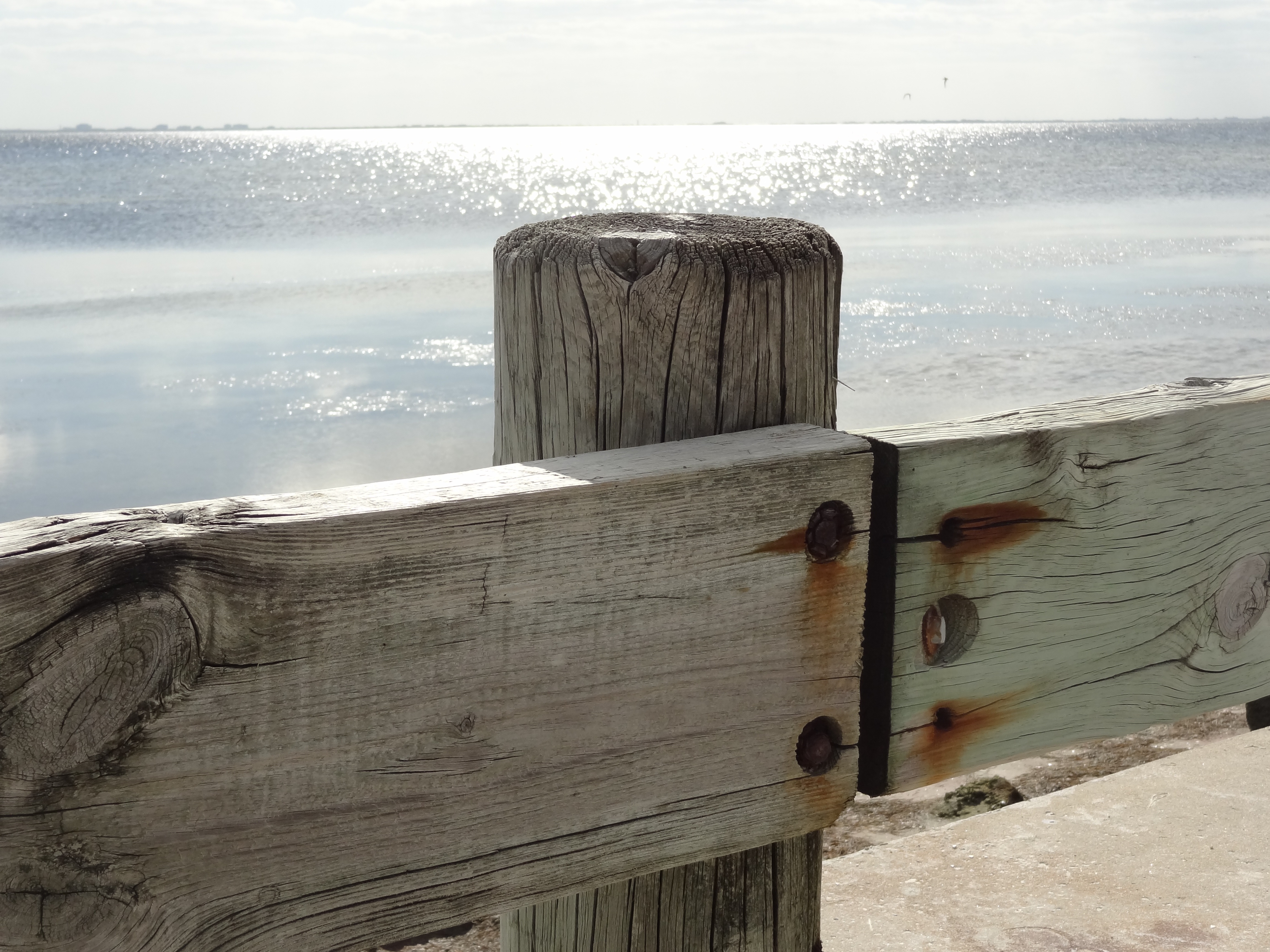 Ocean Fence Water free image download