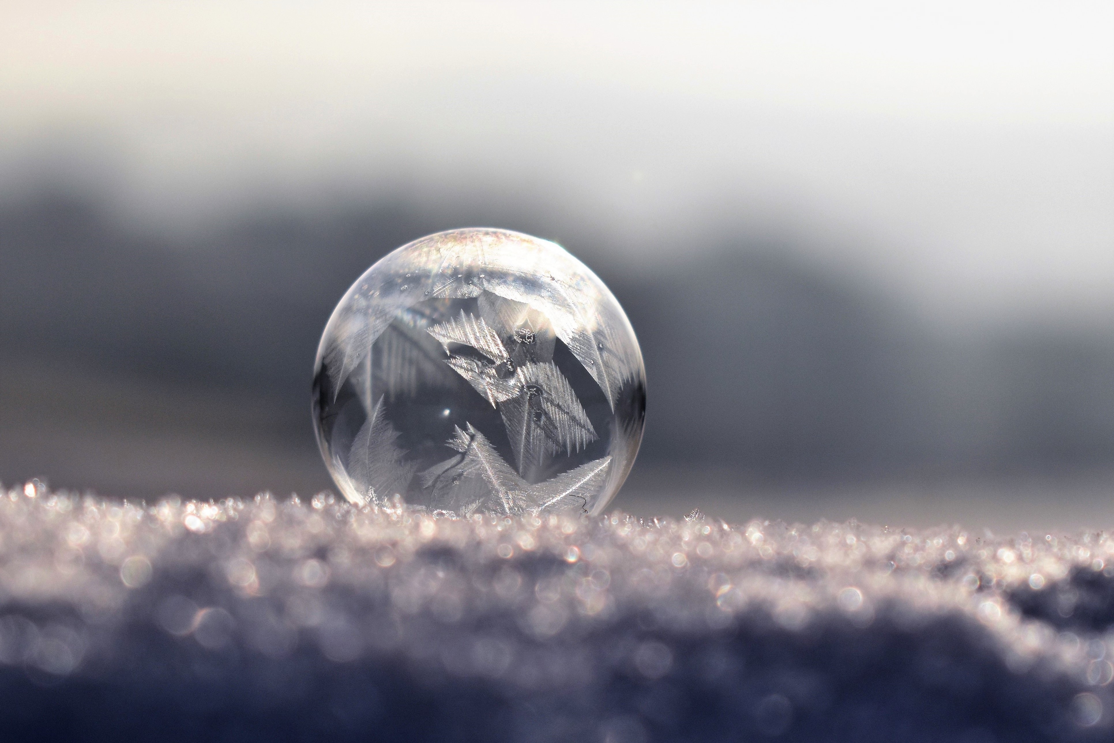 Soap Bubble Frozen free image download
