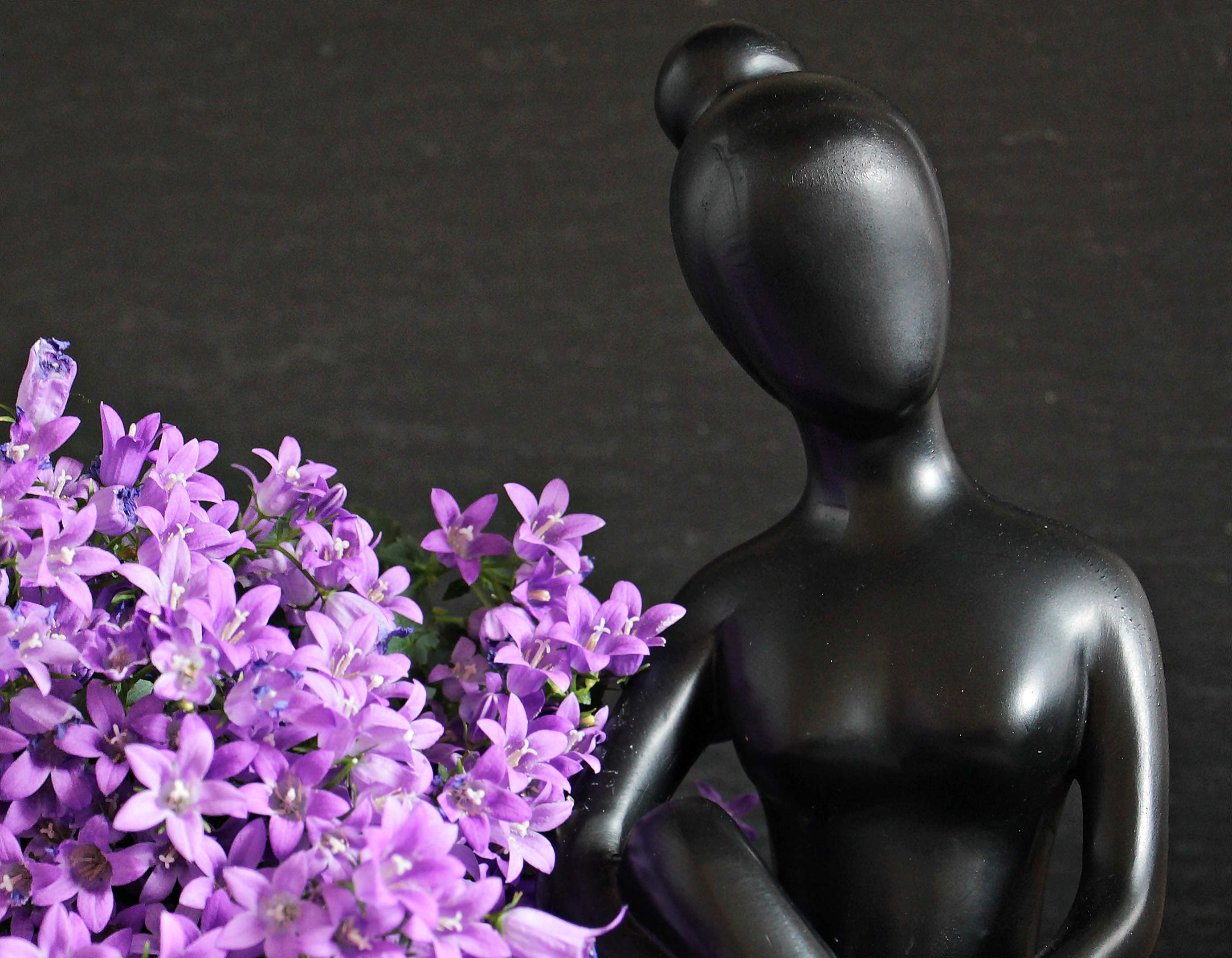 Woman Sculpture Figure and purple flowers free image download