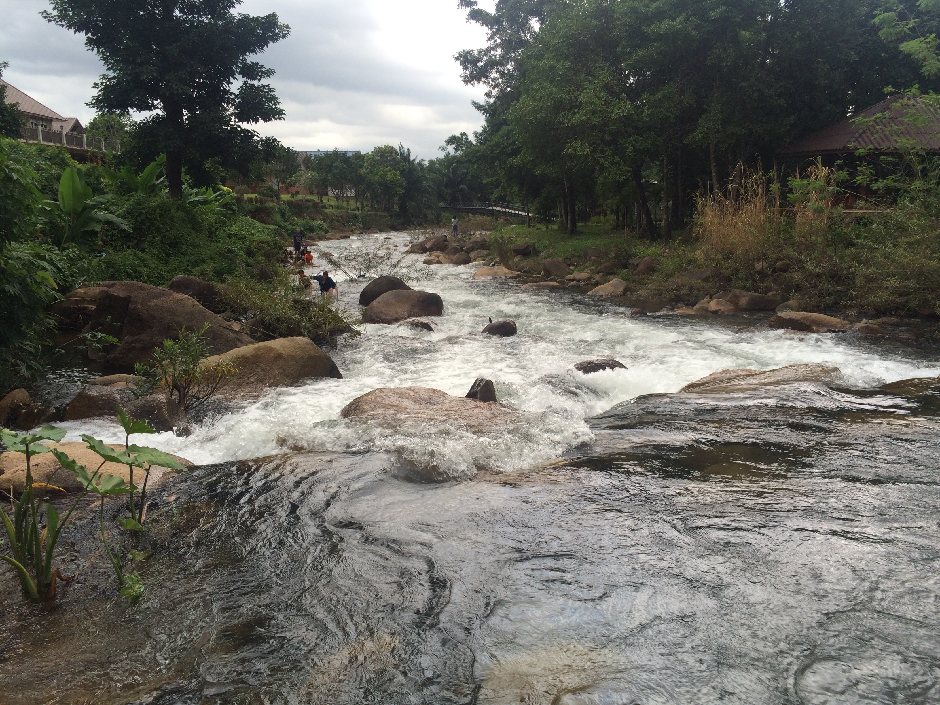 Water Fall free image download