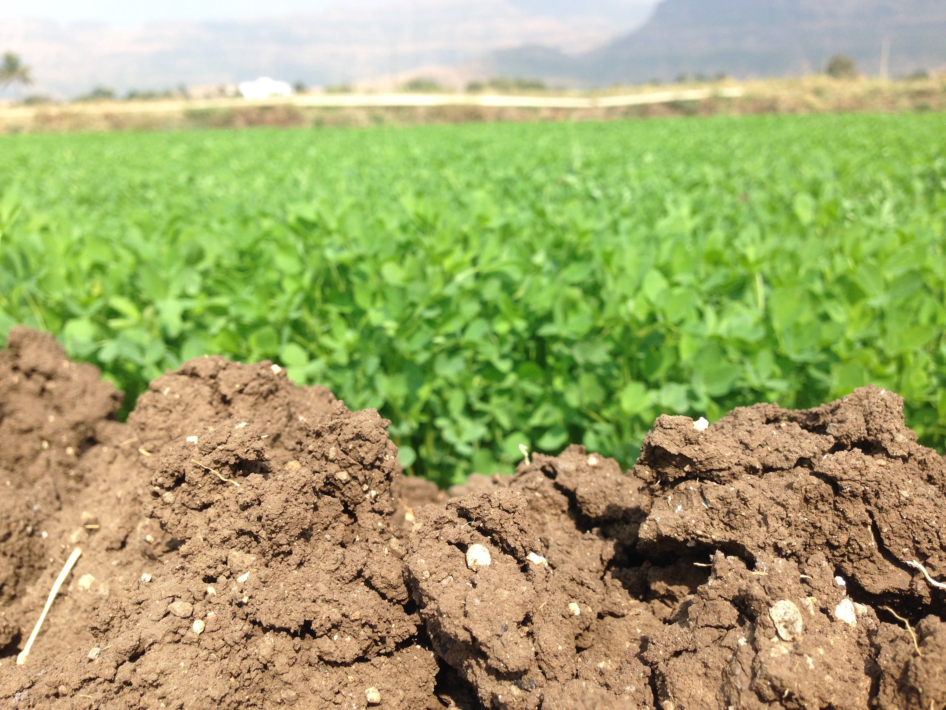 Farm Soil free image download