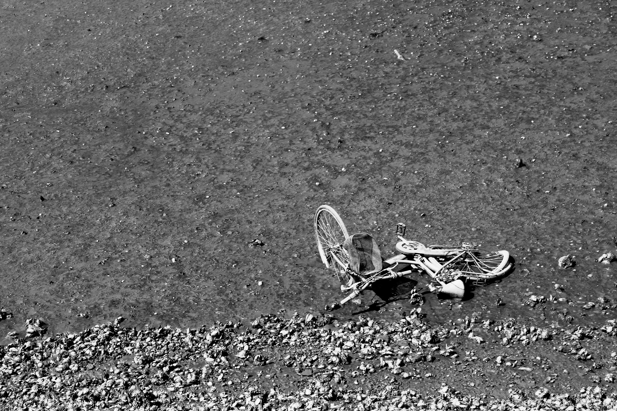 Bike Scrap Forget free image download