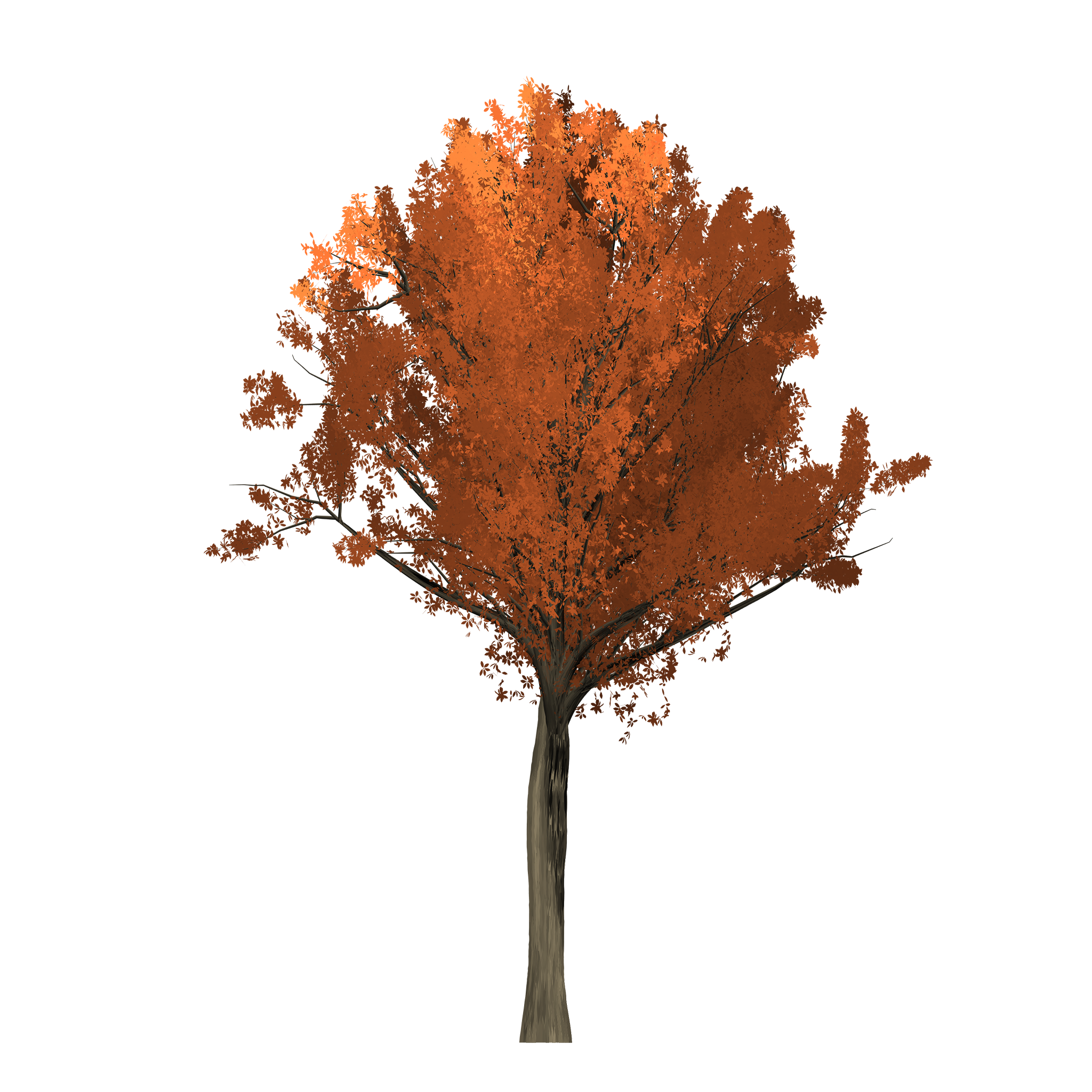 Oak tree painted tree free image download