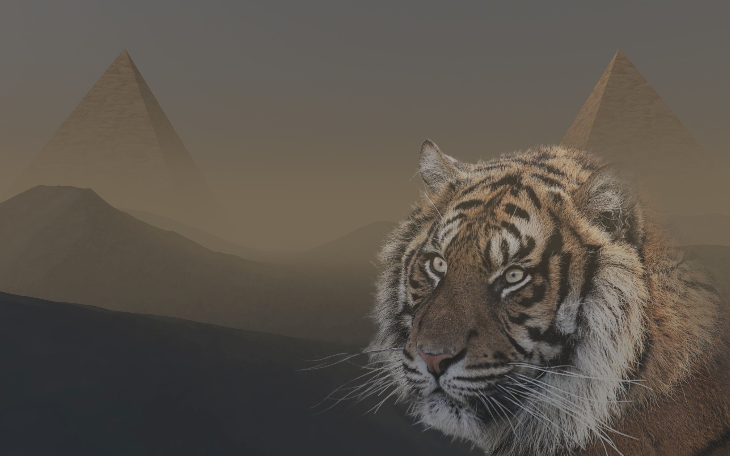 Desert forward pyramids dry sand free image download