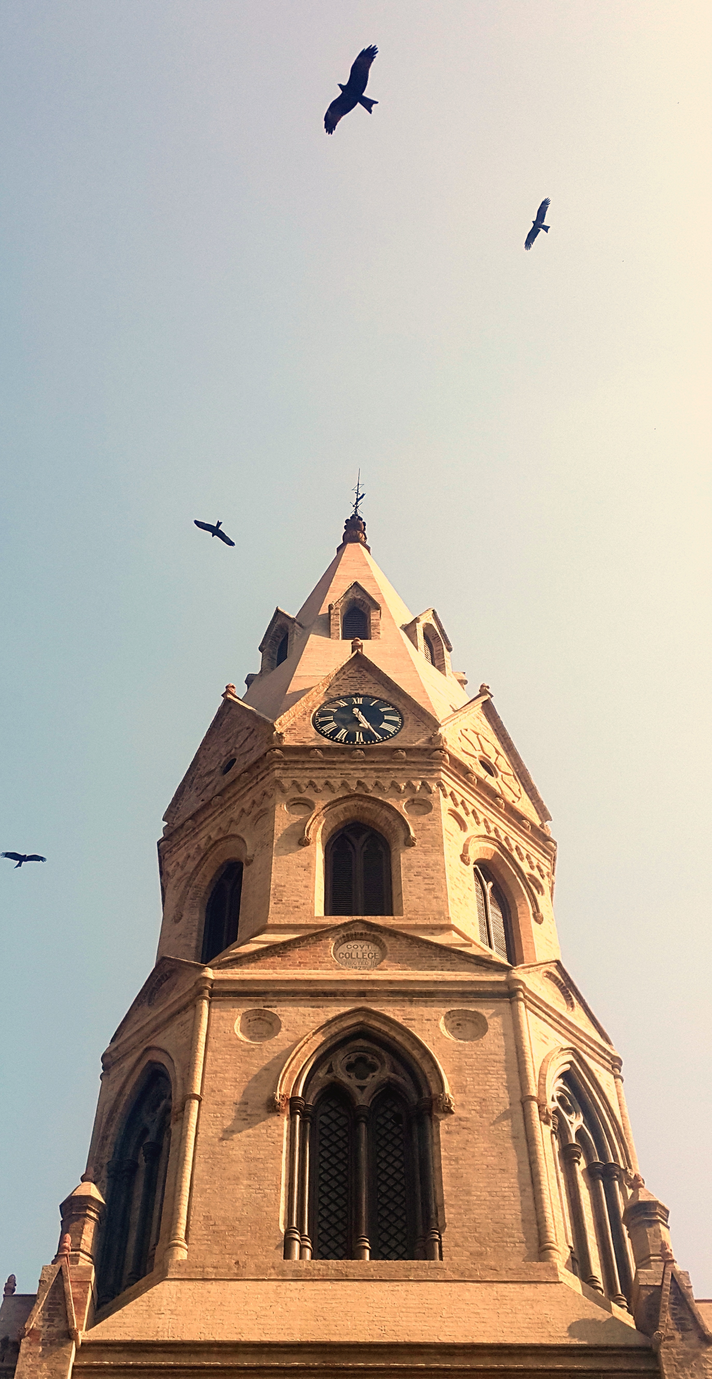 Government College Lahore Gcu free image download