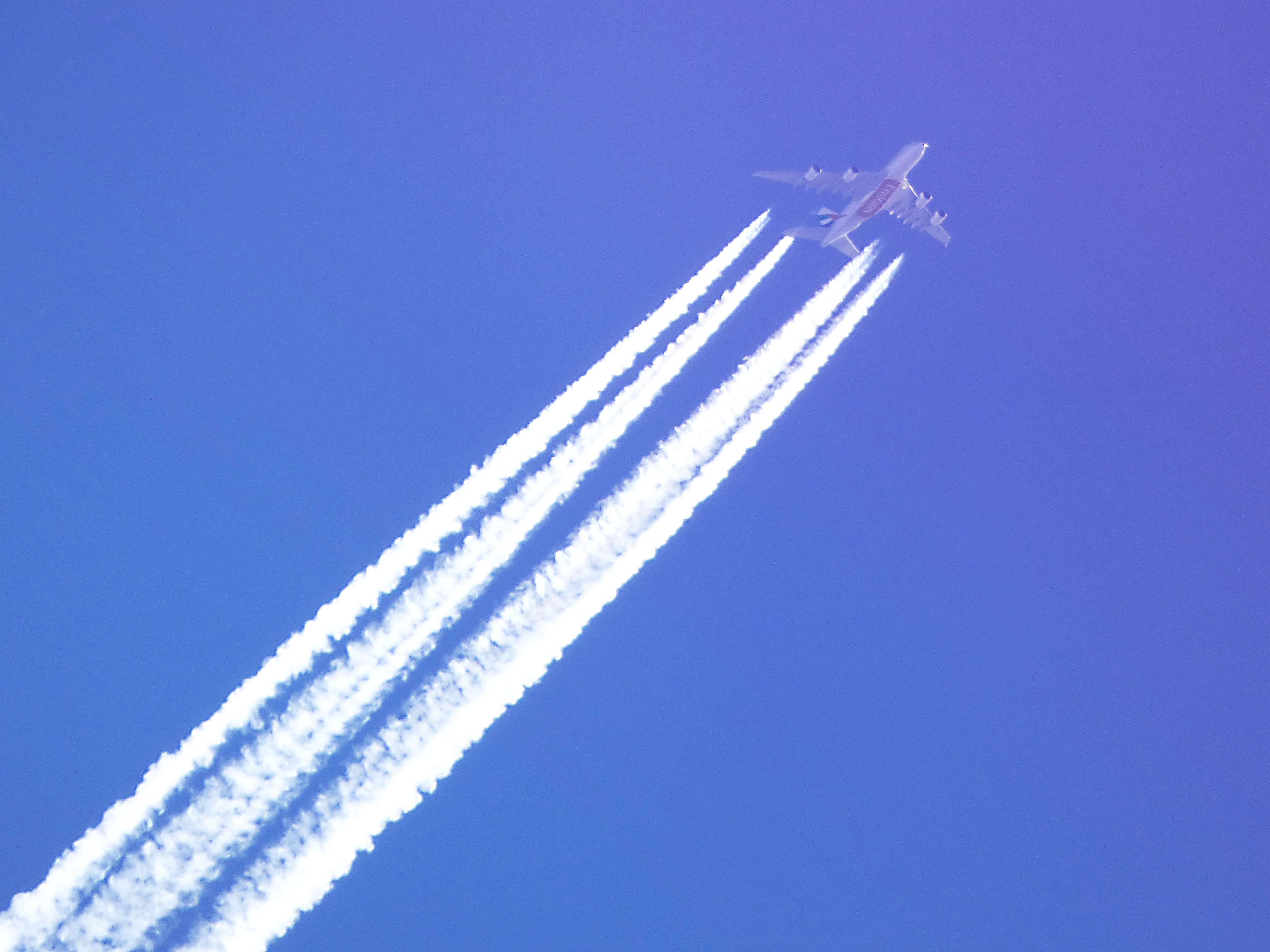 Plane Commercial Flight Turbojet free image download