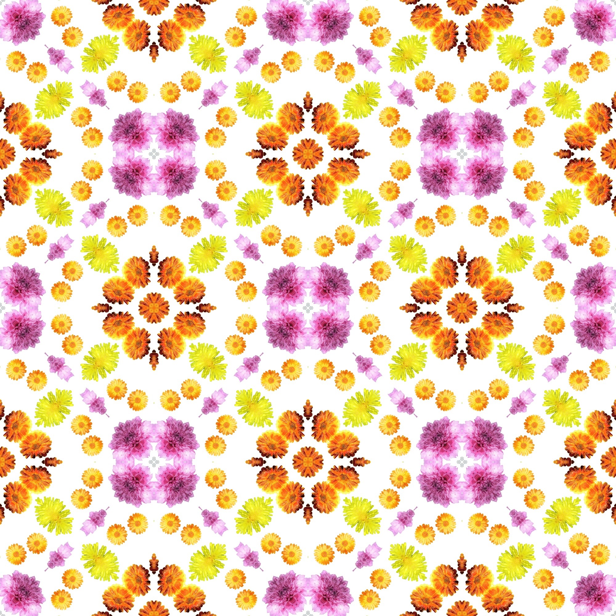 Flowers flora digital art free image download