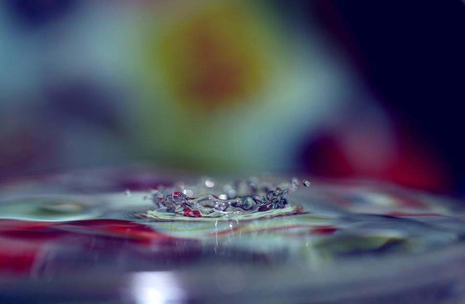 Drops Water Macro free image download