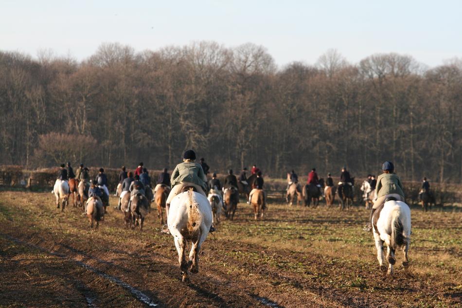 Hunting Equestrian Gallop free image download