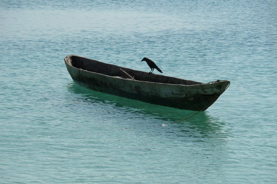 Water Boats bird free image download